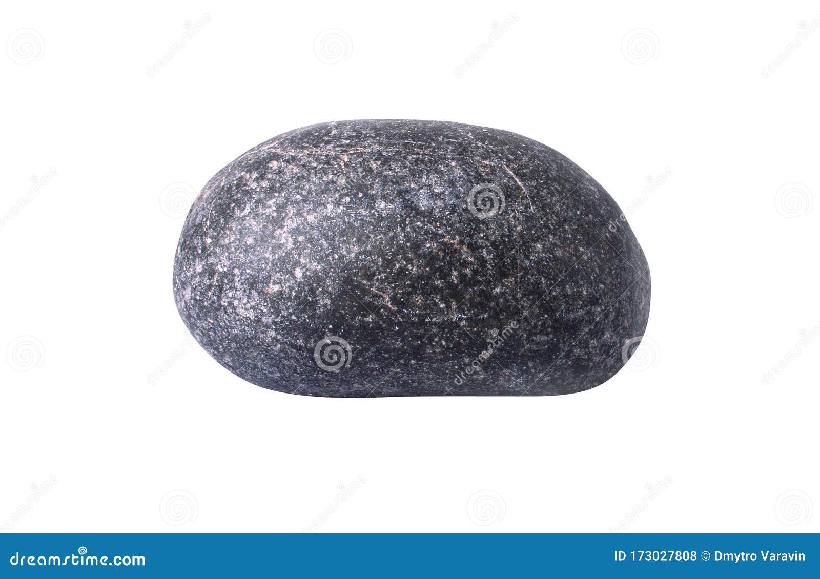 Oval pebble stone isolated stock photo. Image of concretion - 173027808
