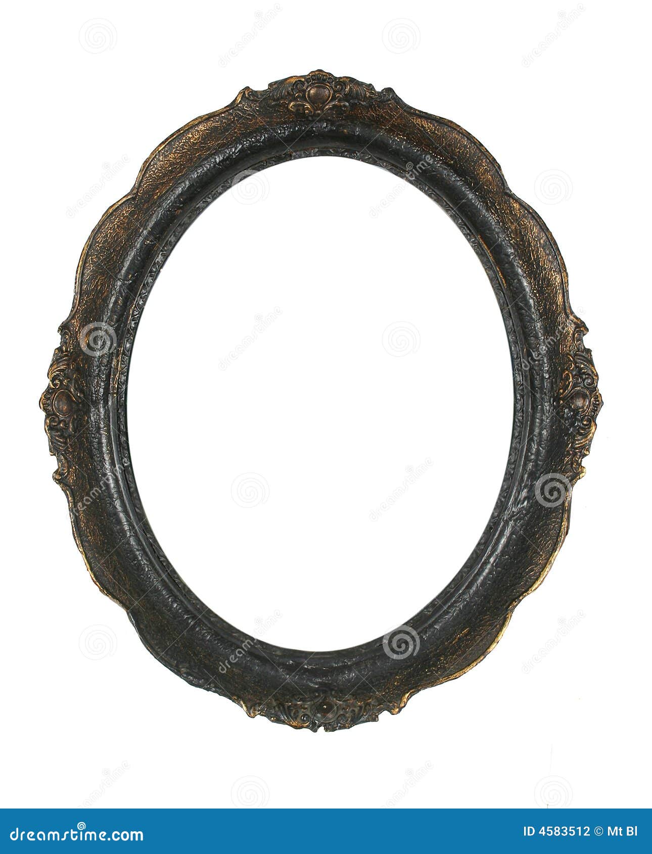 Oval photo frame stock photo. Image of portrait, space - 4583512