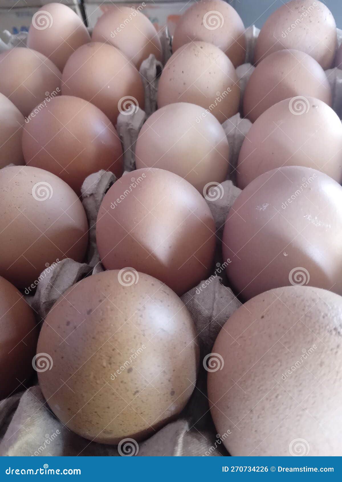 An Oval-shaped Object that is Widely Used by Everyone To Eat Stock ...