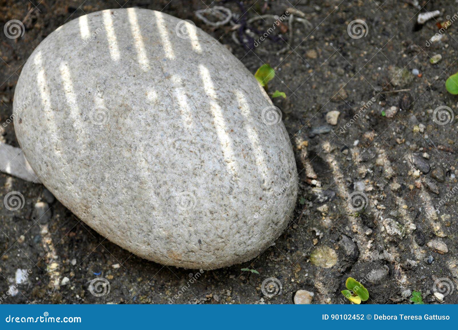 Oval stone on ground stock photo. Image of stone, nature - 90102452