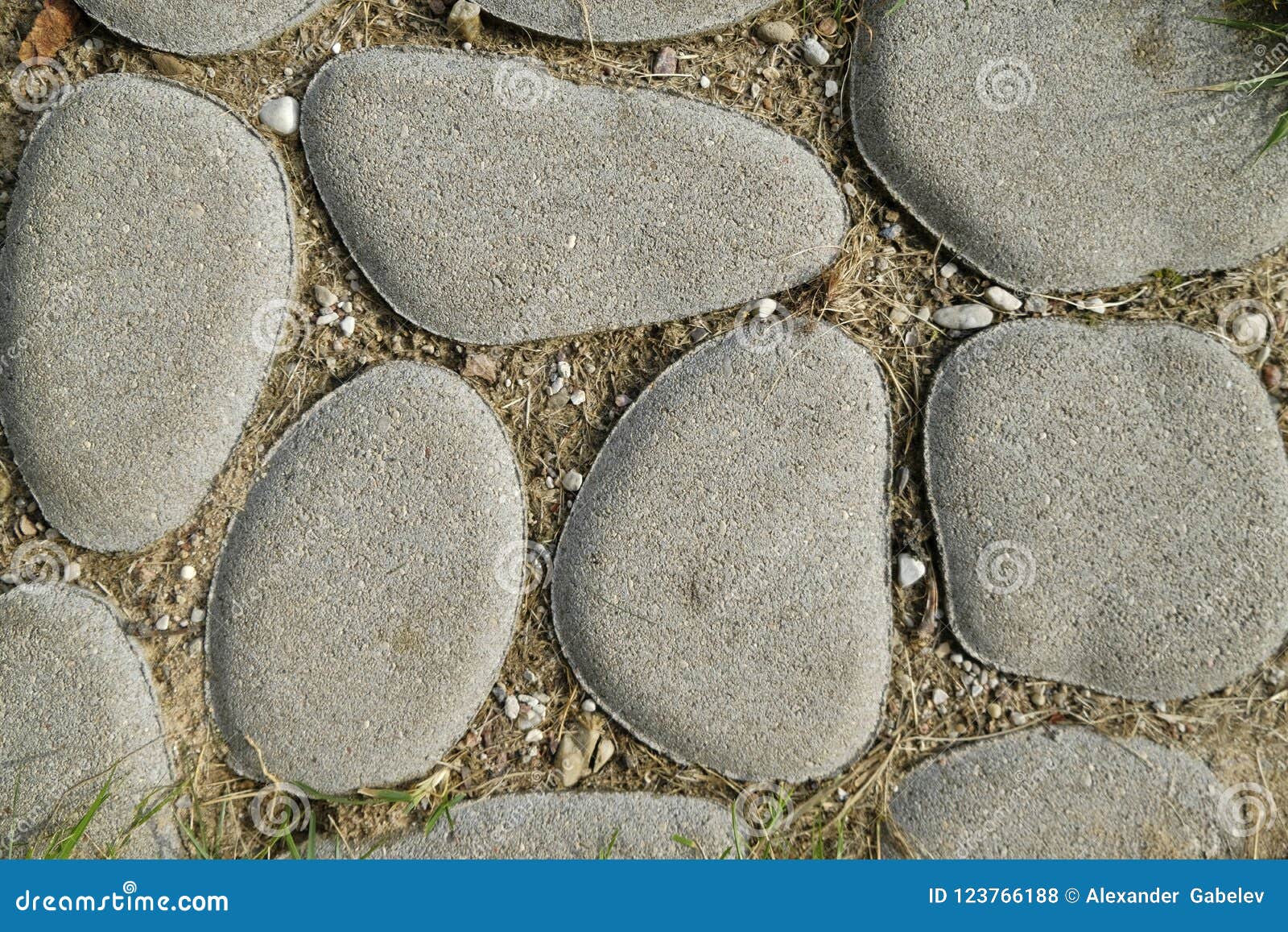 Oval stones in the earth stock photo. Image of hard - 123766188