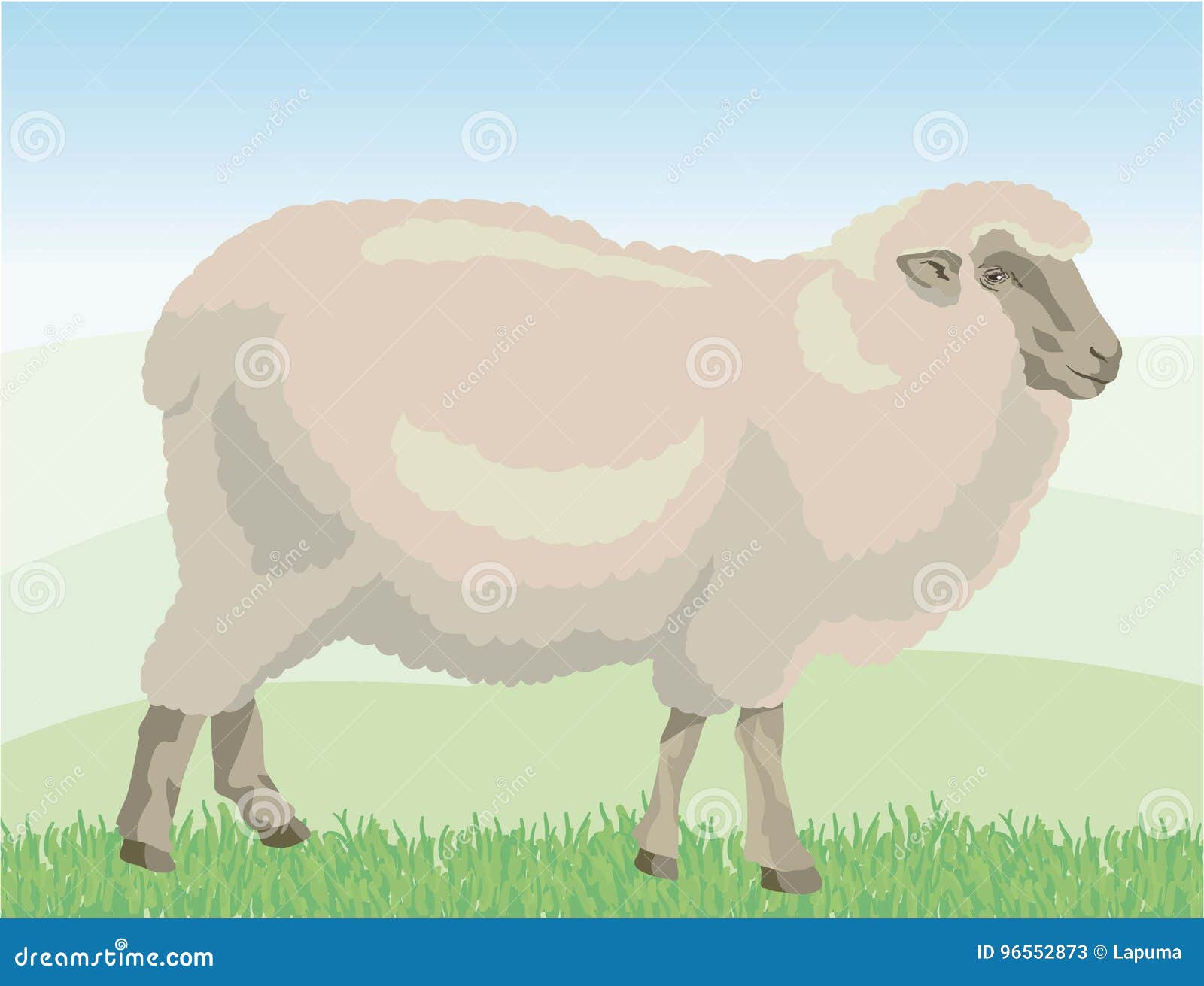 Ovejas Beige Que Pastan En Pasto Ilustración del Vector - Ilustración ...