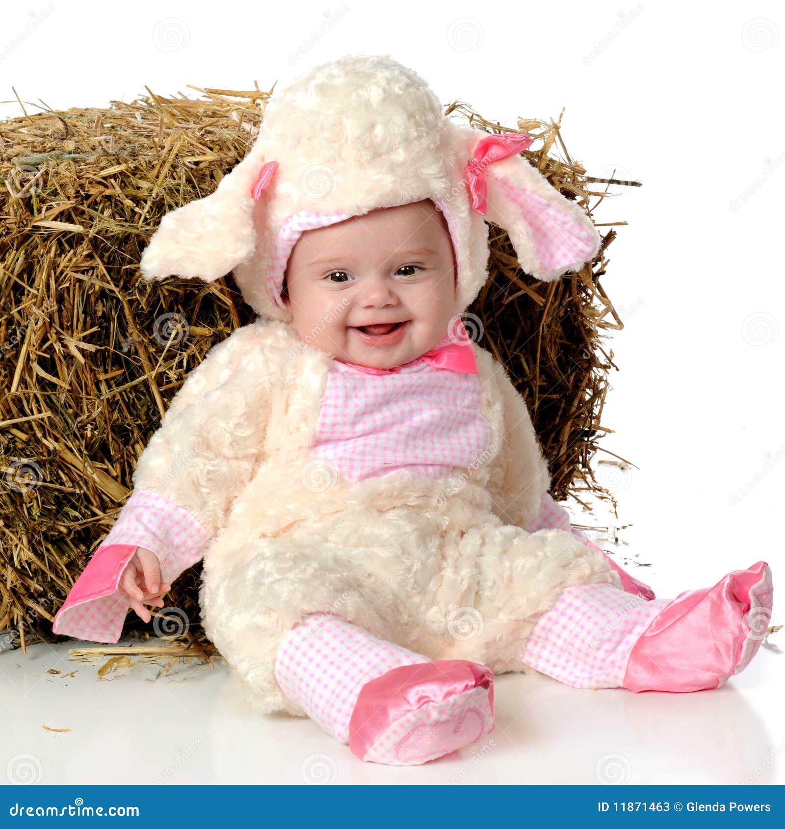 Ovejas del bebé imagen de archivo. Imagen de poco, persona - 11871463