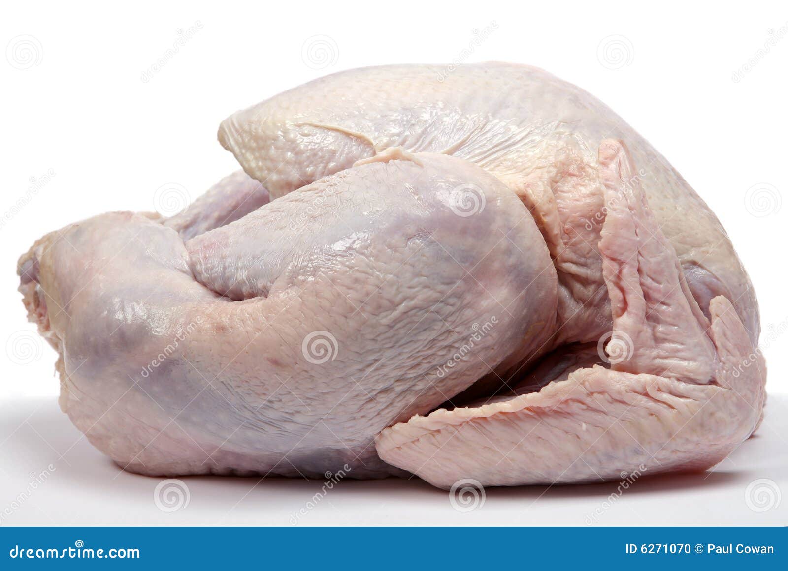Oven ready turkey stock photo. Image of meat, turkey, side - 6271070
