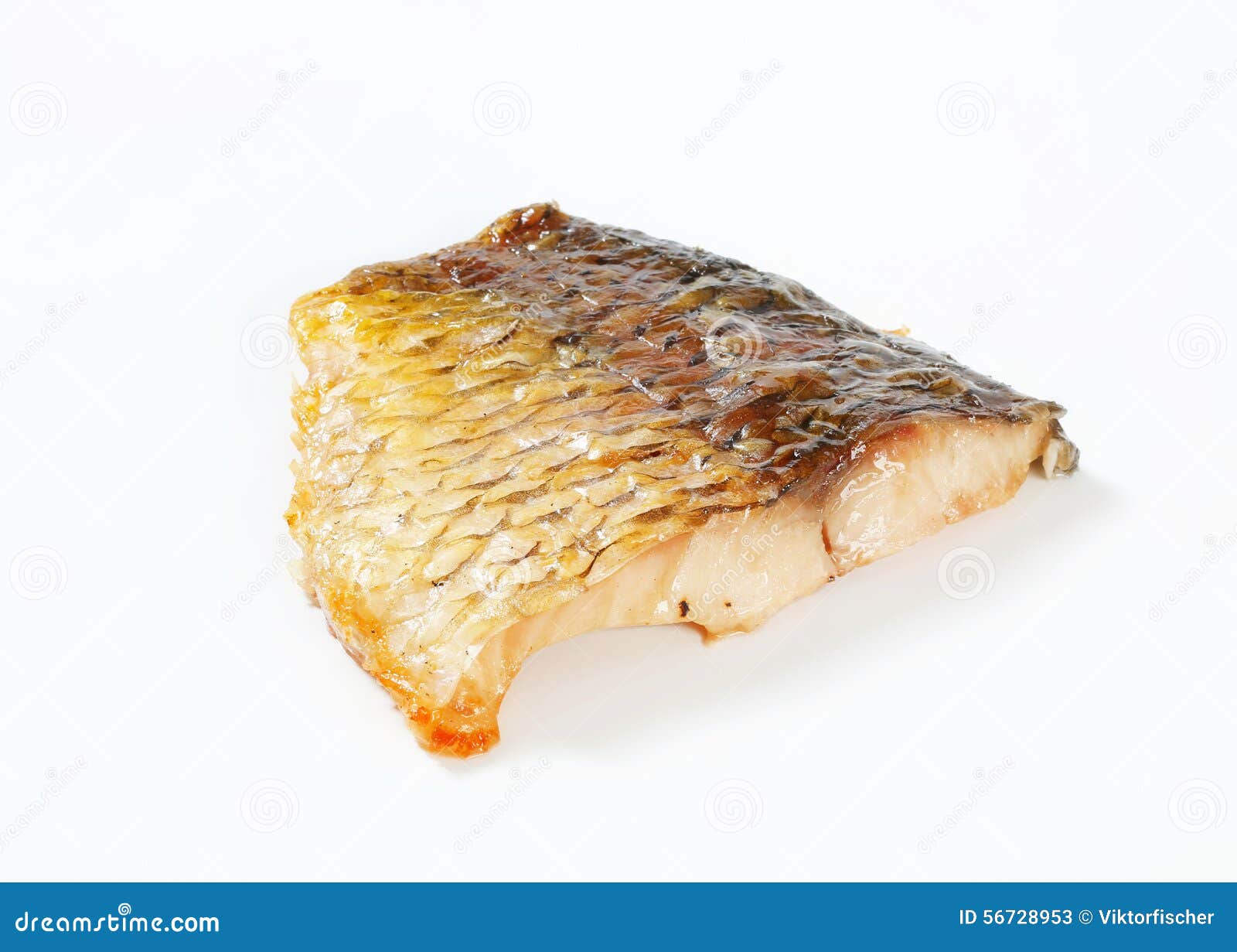 Oven roasted carp fillet stock image. Image of skin, closeup - 56728953