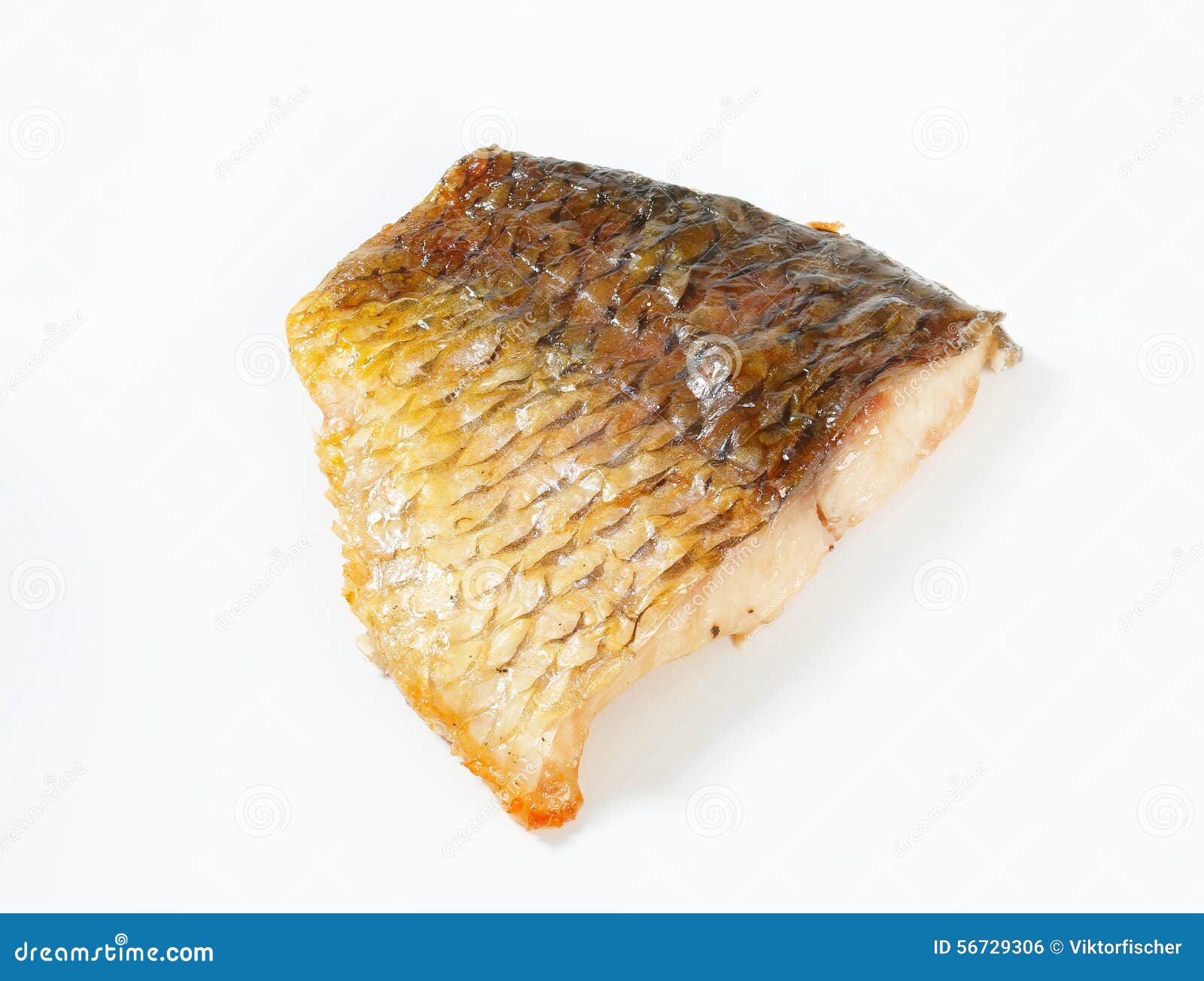 Oven roasted carp fillet stock photo. Image of full, white - 56729306
