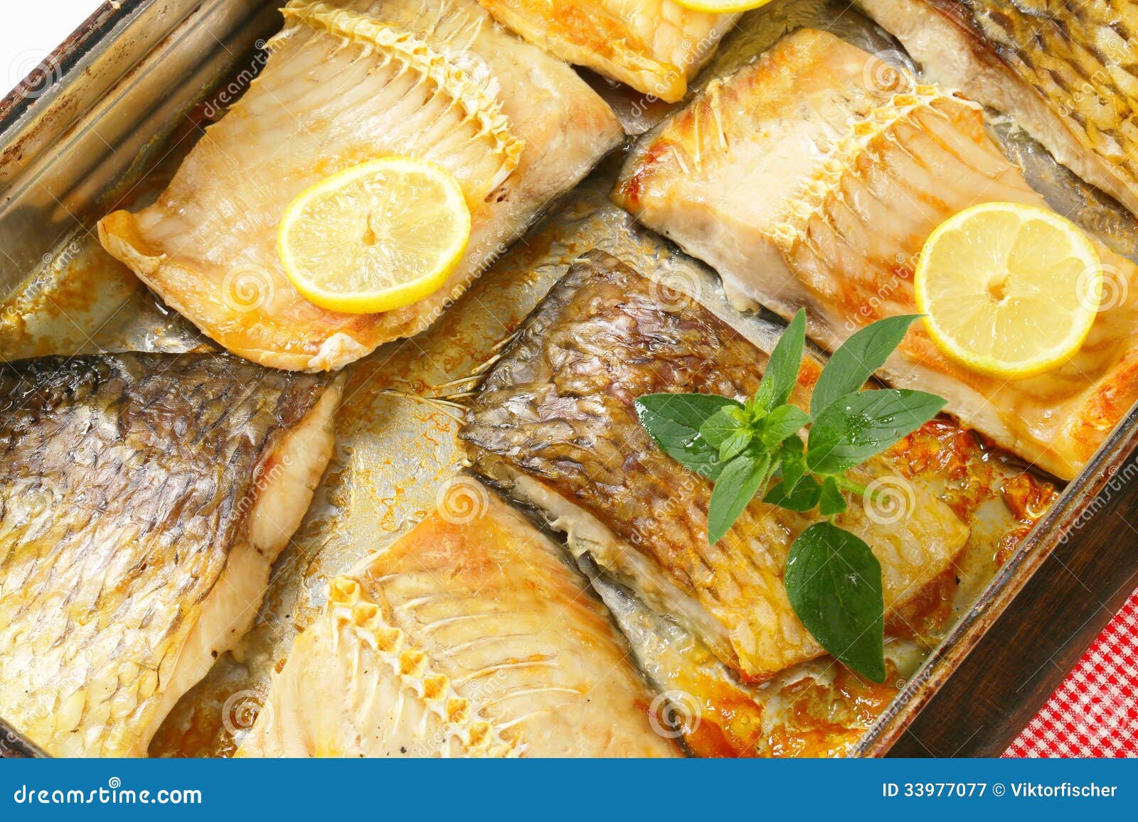 Oven roasted carp fillets stock image. Image of fillets - 33977077