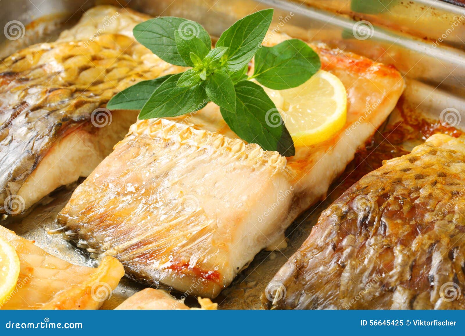Oven roasted carp fillets stock image. Image of crispy - 56645425