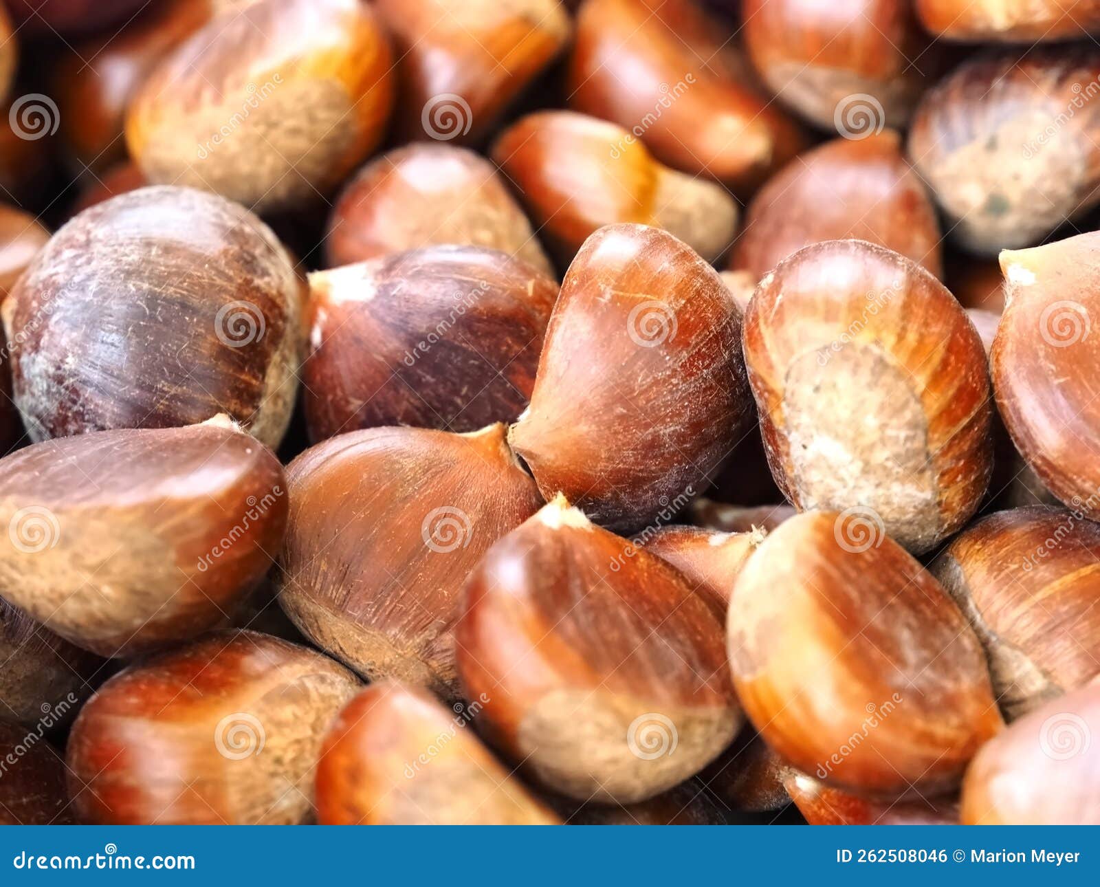 Oven Roasted Chestnuts on a Grill Stock Photo - Image of baked, maroon ...
