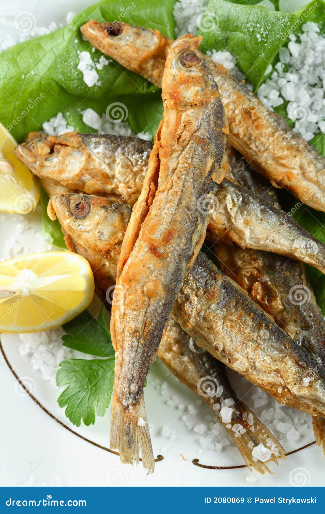 Oven sprats stock image. Image of gourmet, fish, european - 2080069