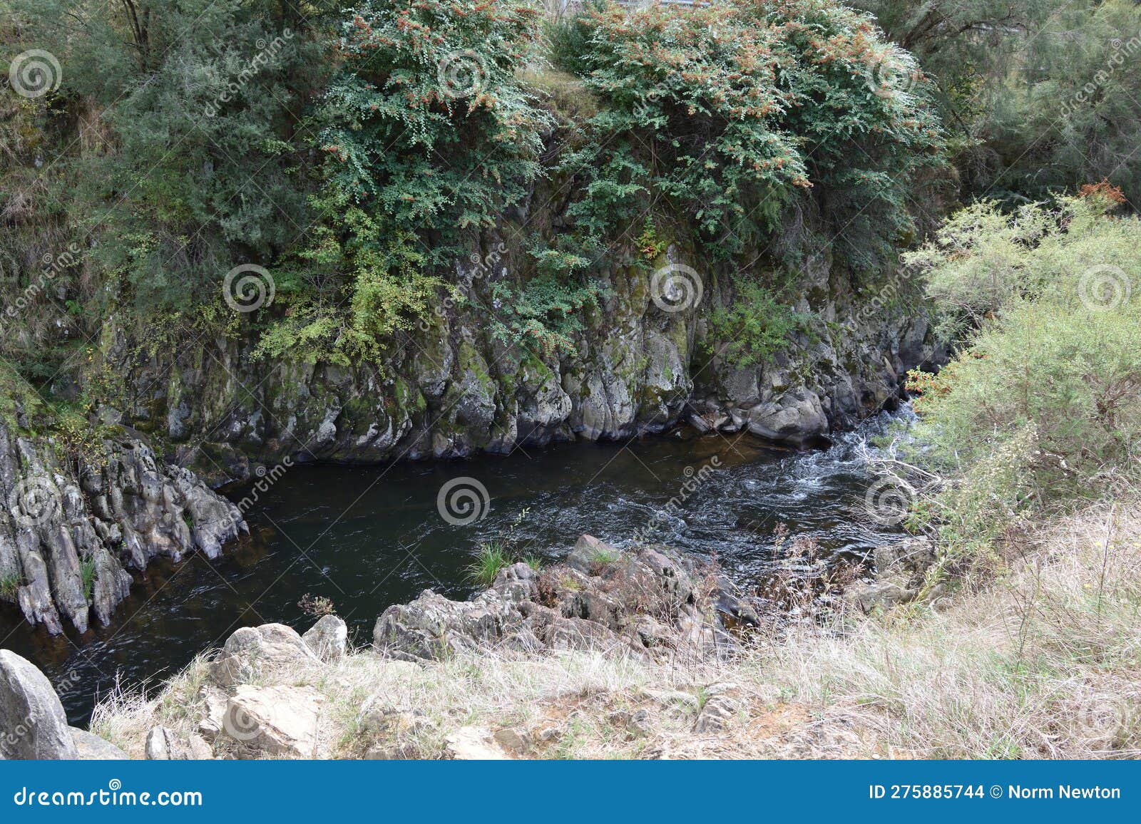 Ovens River at Bright stock photo. Image of plant, wilderness - 275885744
