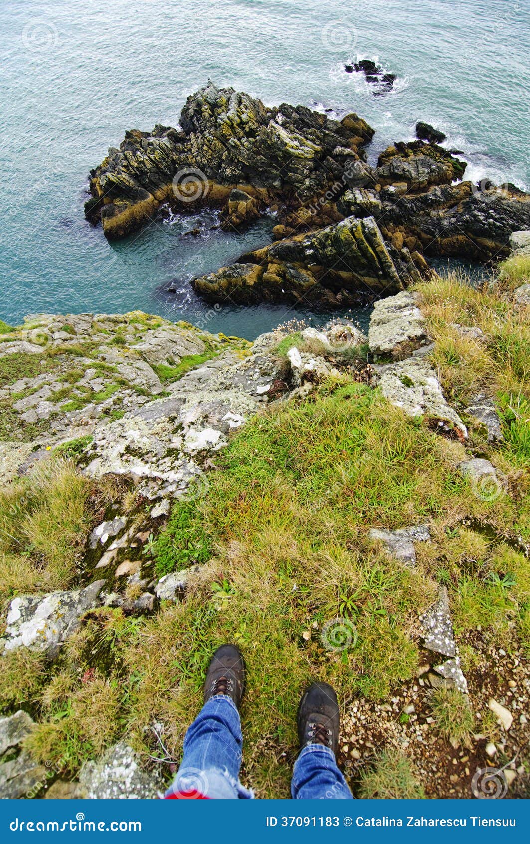 Over the cliff stock image. Image of coast, scar, flowers - 37091183