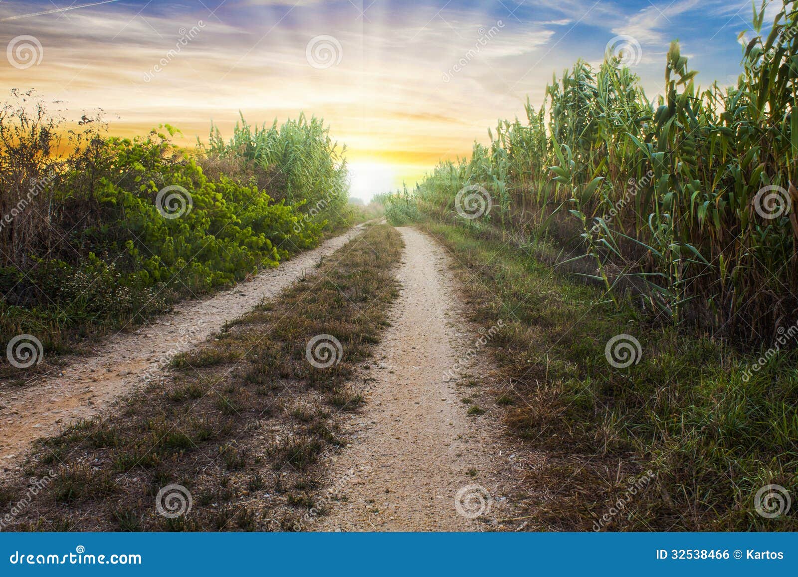 Over road stock photo. Image of land, field, orange, road - 32538466
