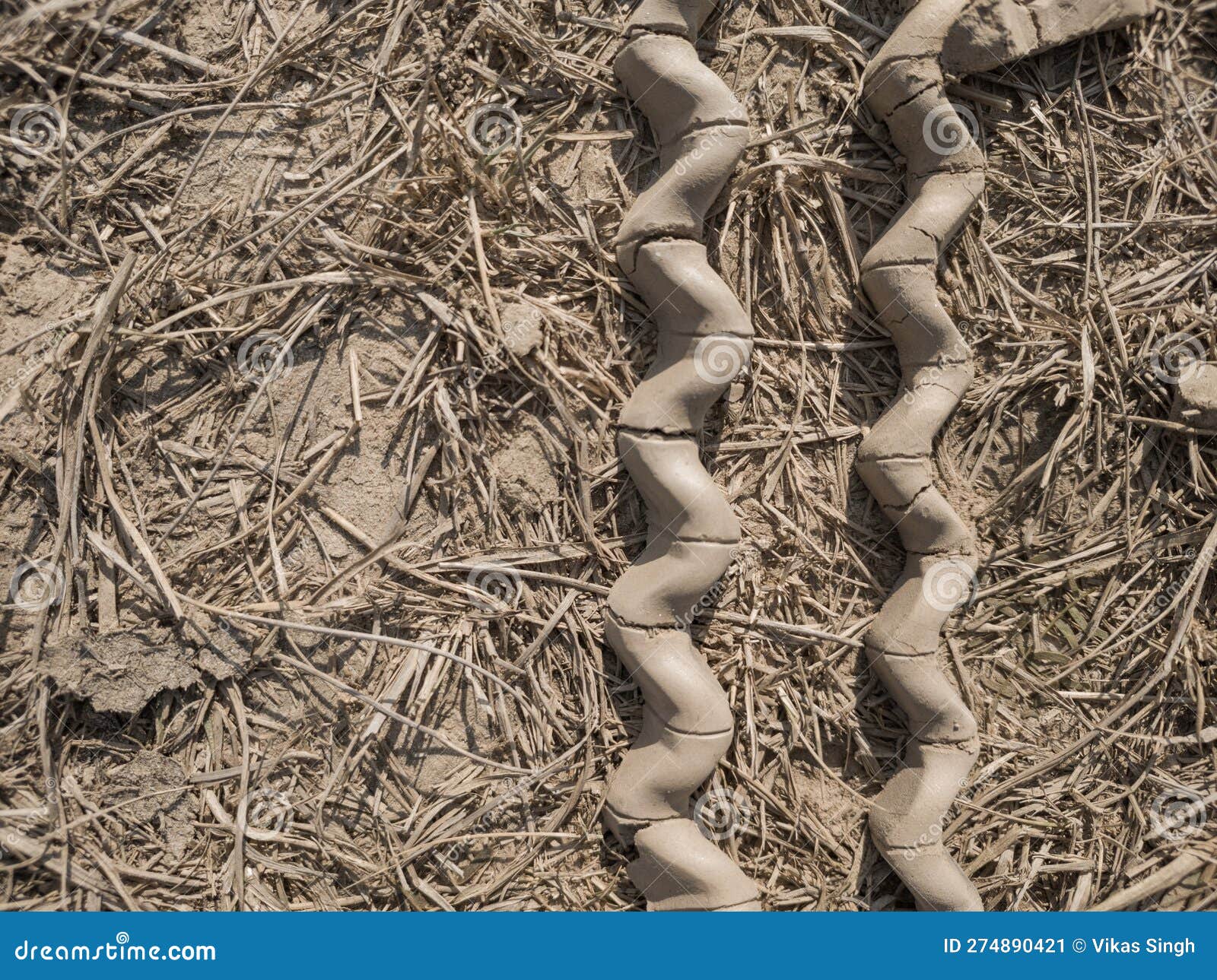 Over the Top Shot of Two Parallel Lines Made from Left-over Dry Mud ...