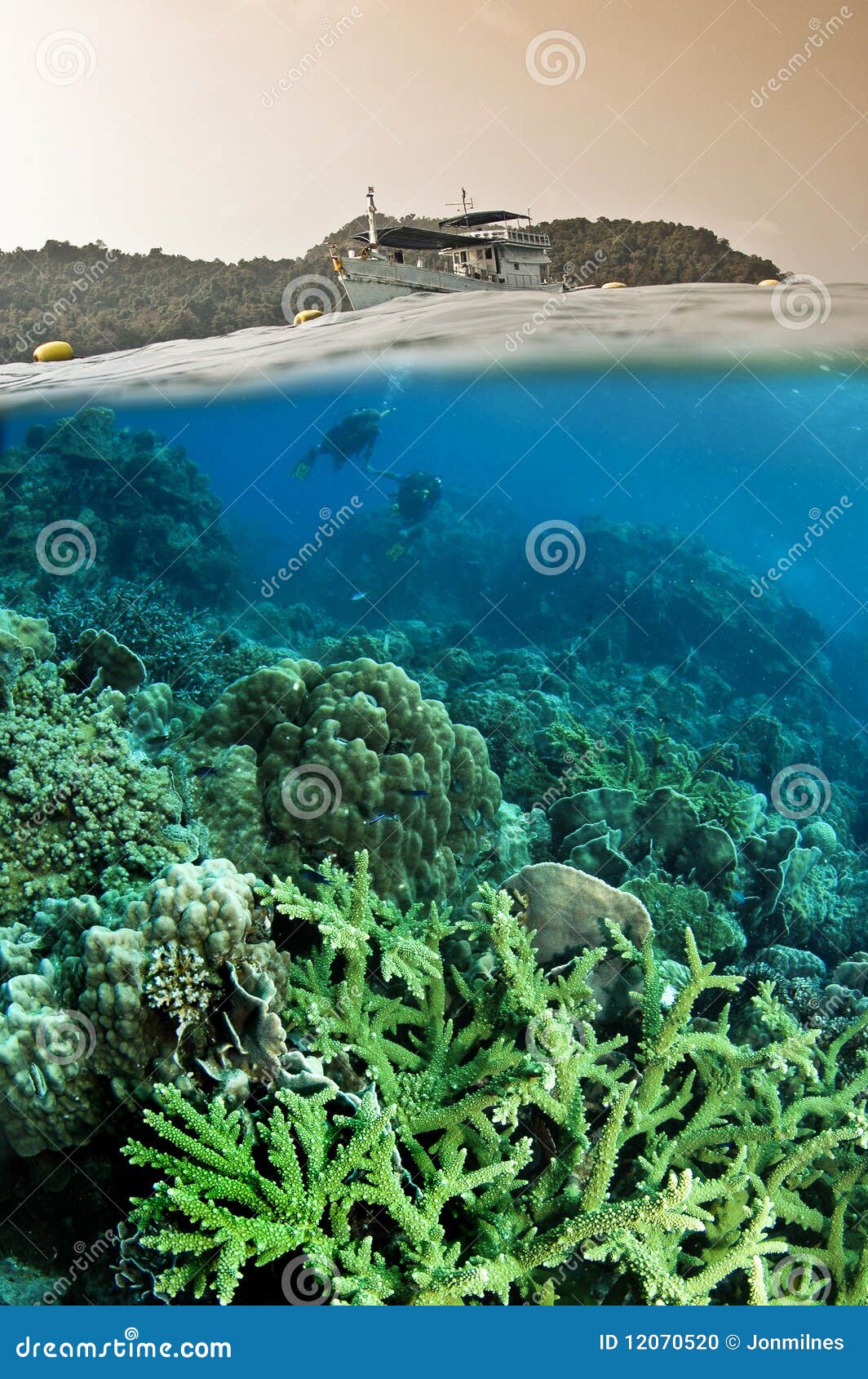 Over Under of Ocean and Divers Stock Photo - Image of colorful, hard ...