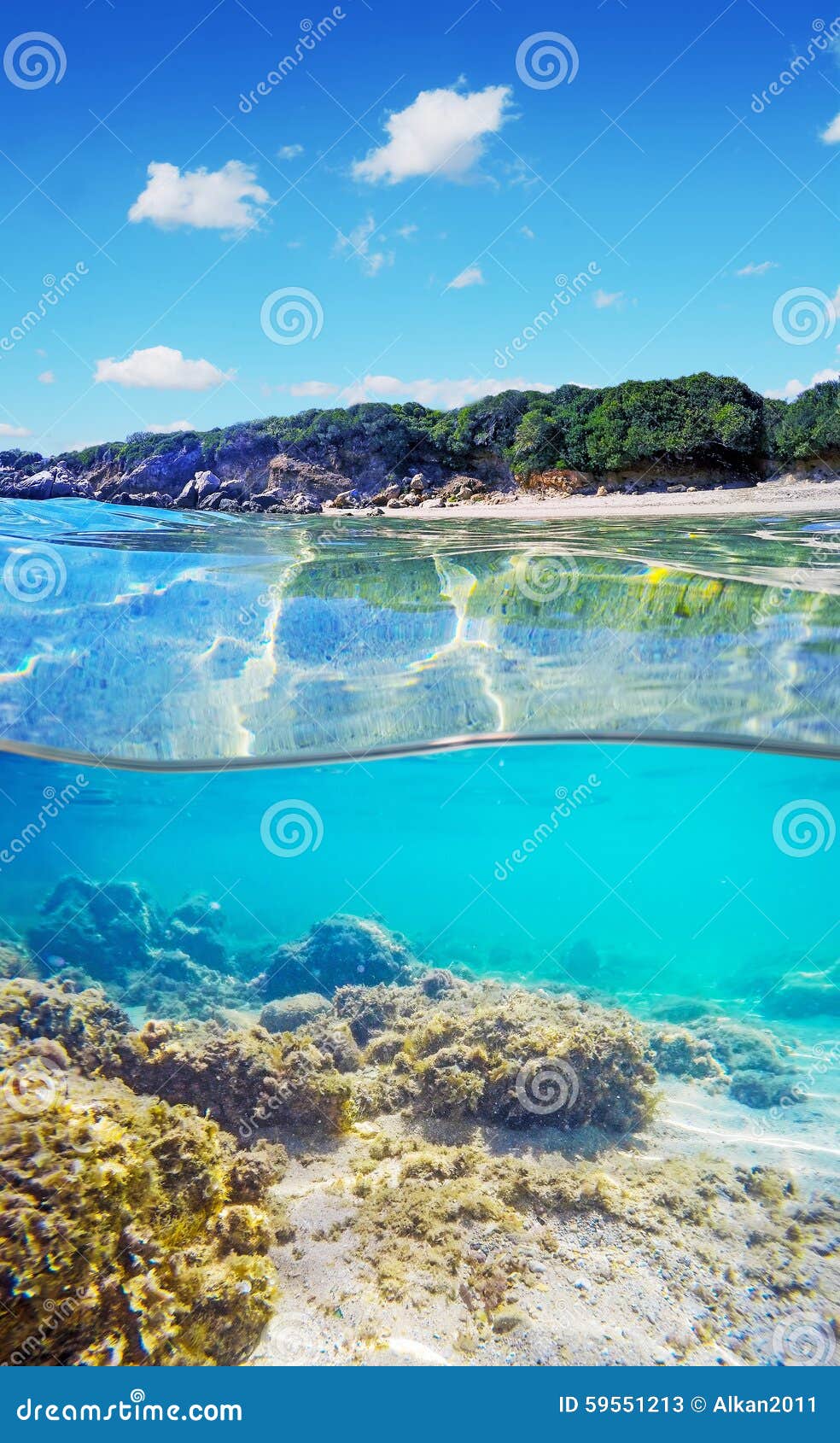 Over and Under Water Surface of a Tropical Beach Stock Image - Image of ...