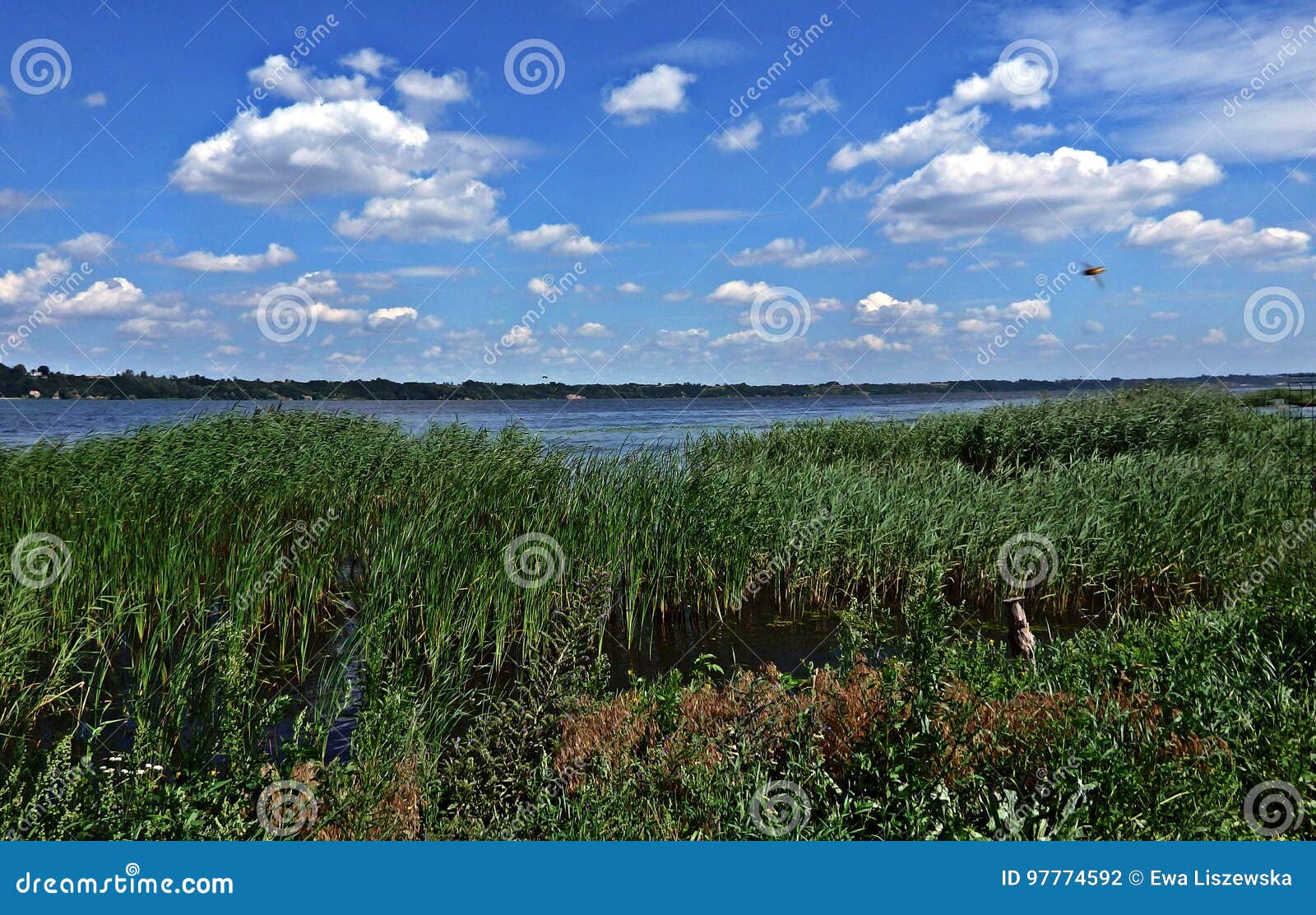 Over the Vistula River stock photo. Image of beautiful - 97774592