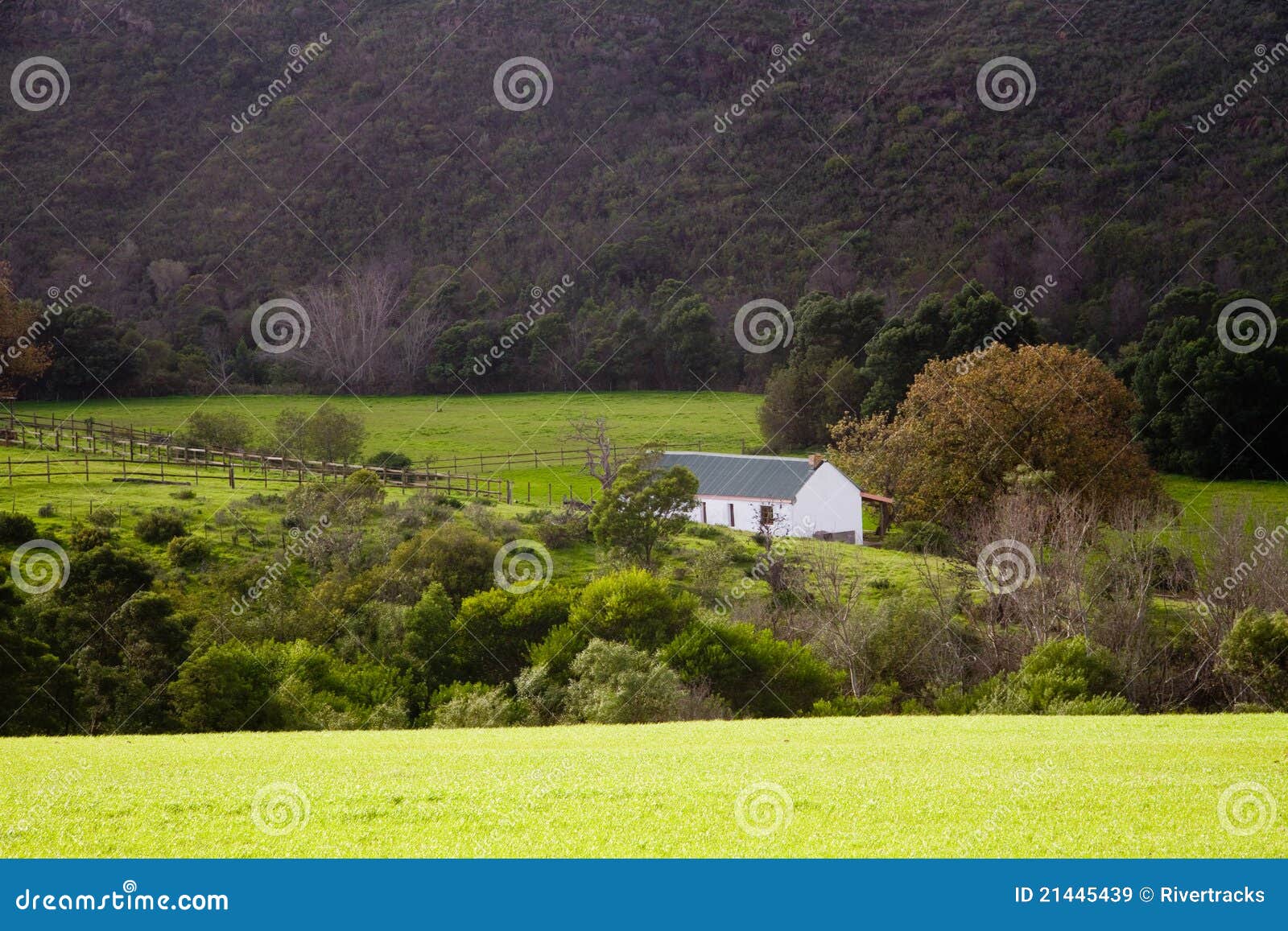 Overberg Farm Landscape With House Stock Image - Image of fields, cape ...