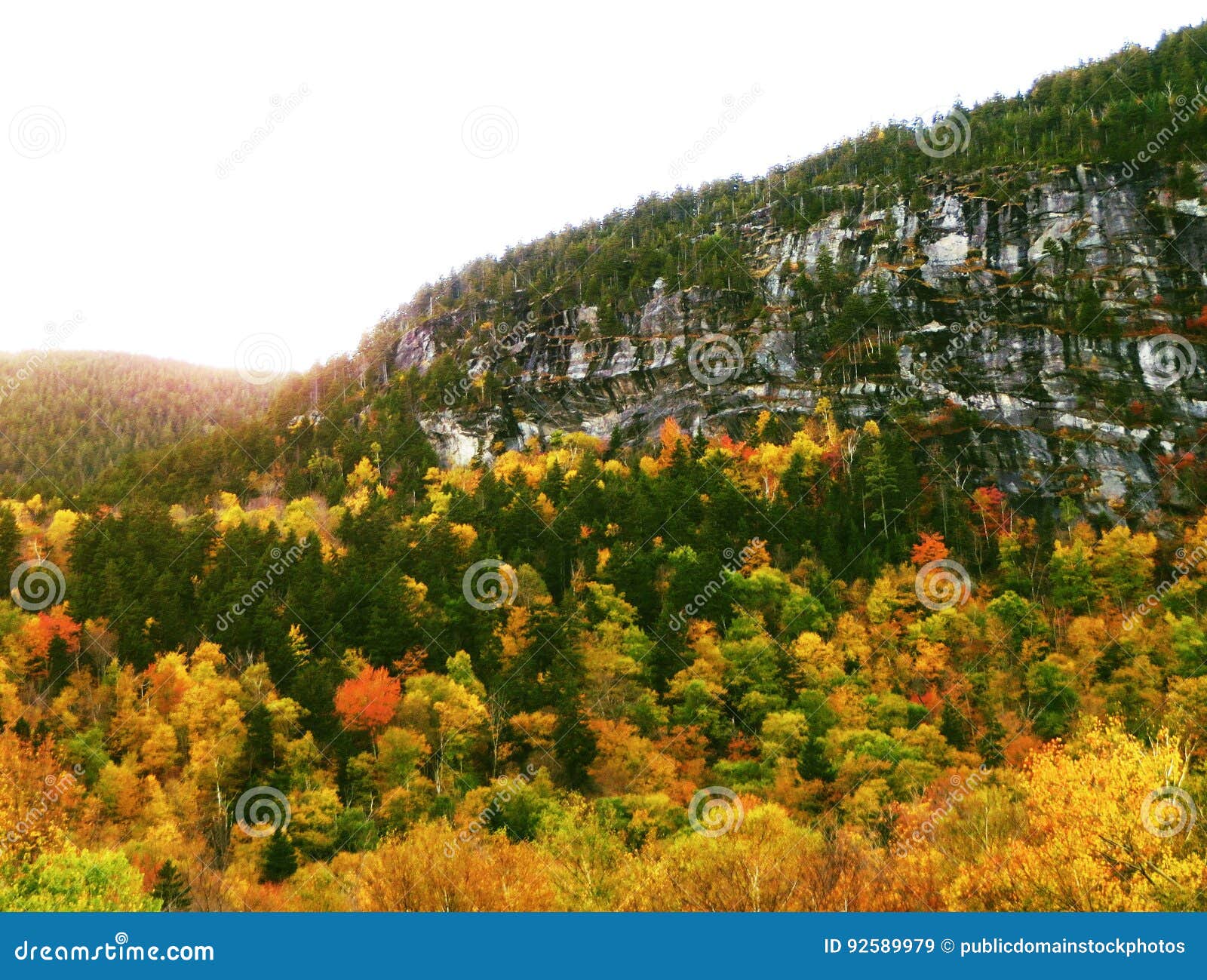 Overblown Fall Picture. Image: 92589979