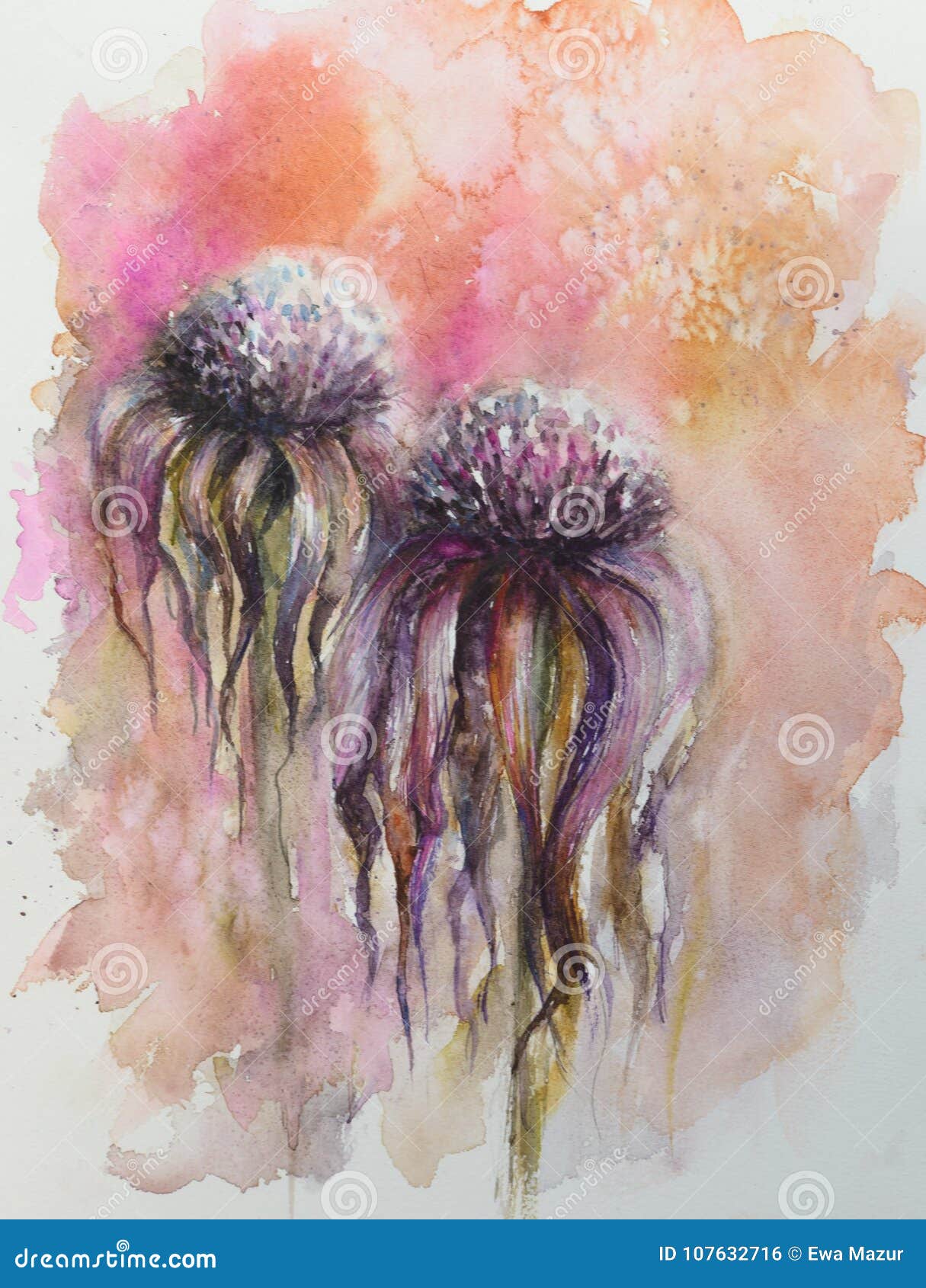 Overblown Flowers Of Echinacea Stock Photo | CartoonDealer.com #107632716