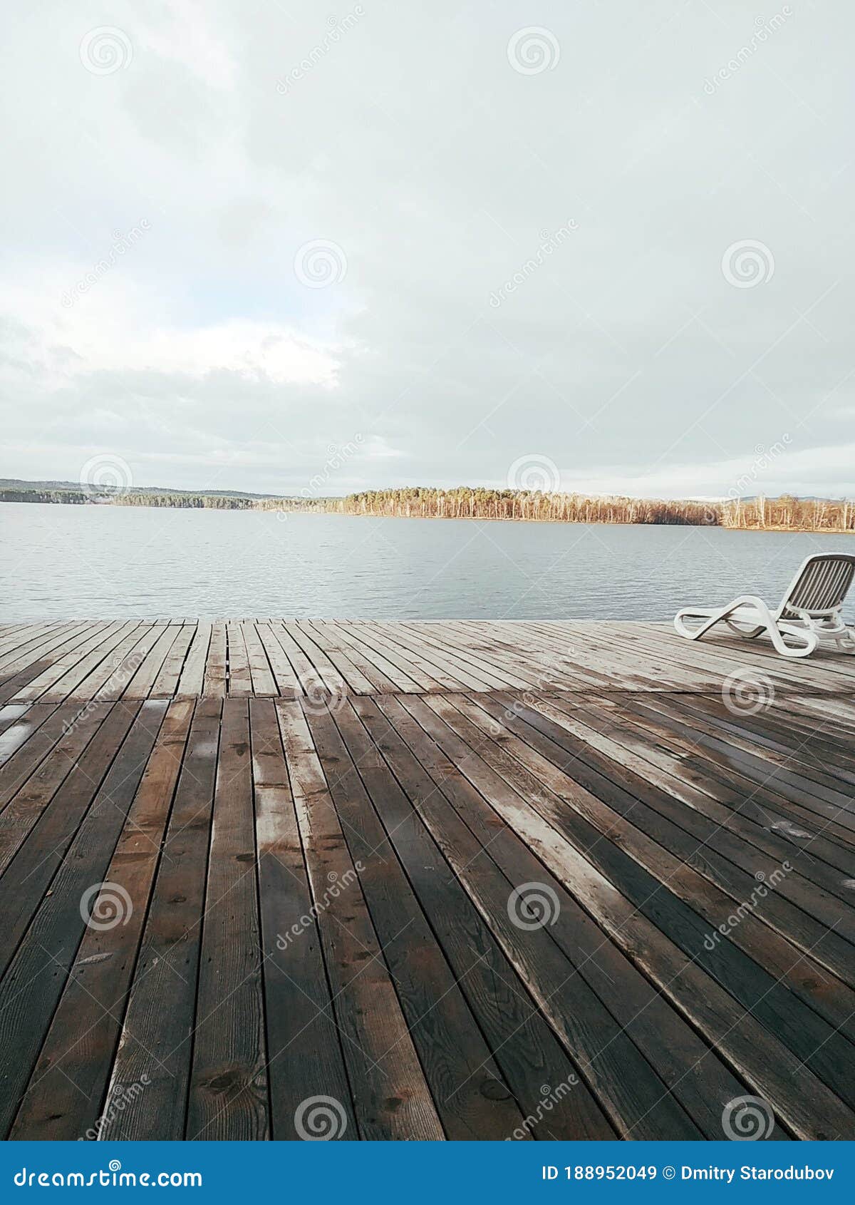 An Overcast Autumn Morning on the Shore of the Lake Stock Image - Image ...