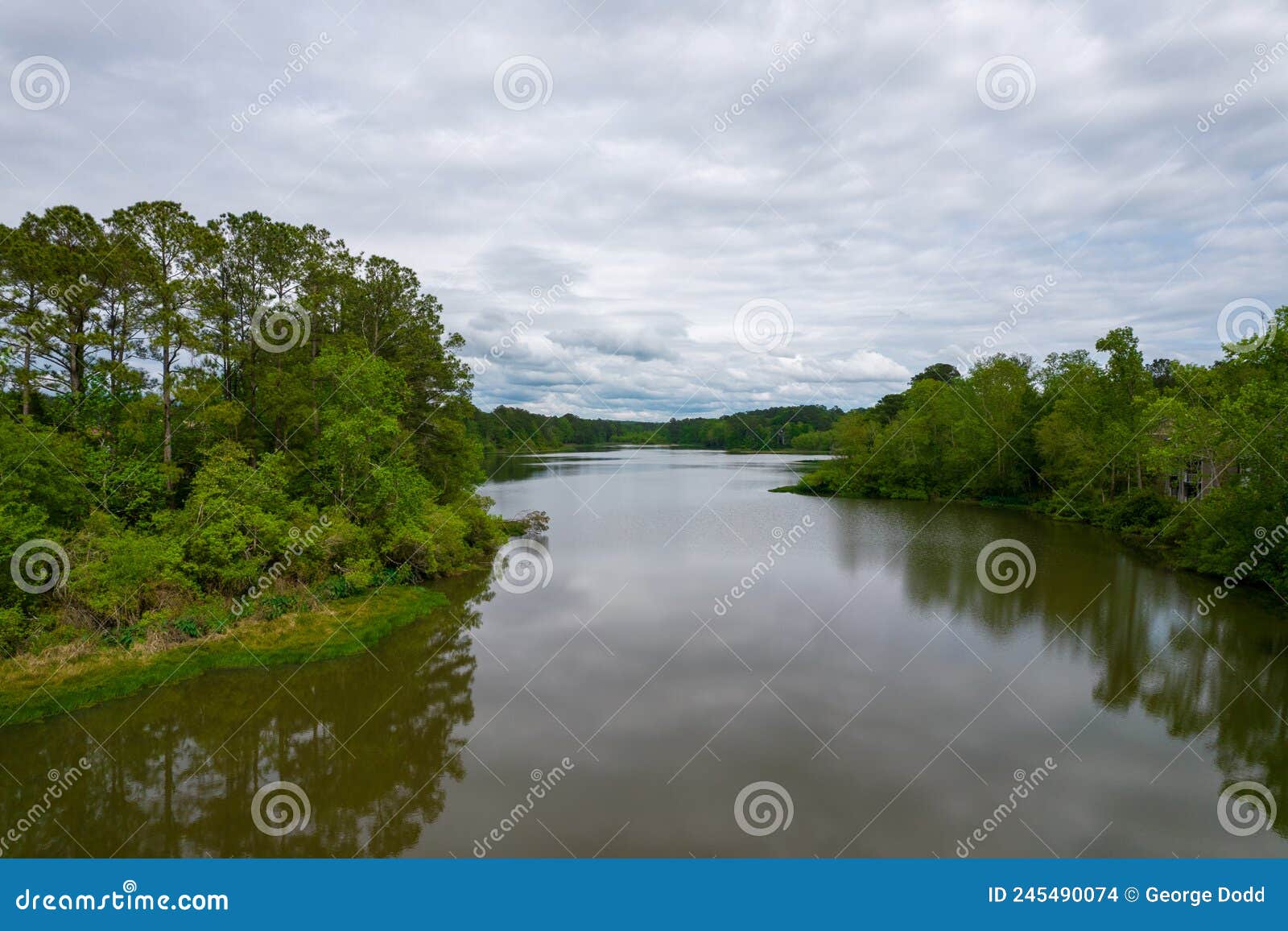 Overcast Day at Lake Forest in Daphne, Alabama Stock Photo - Image of ...