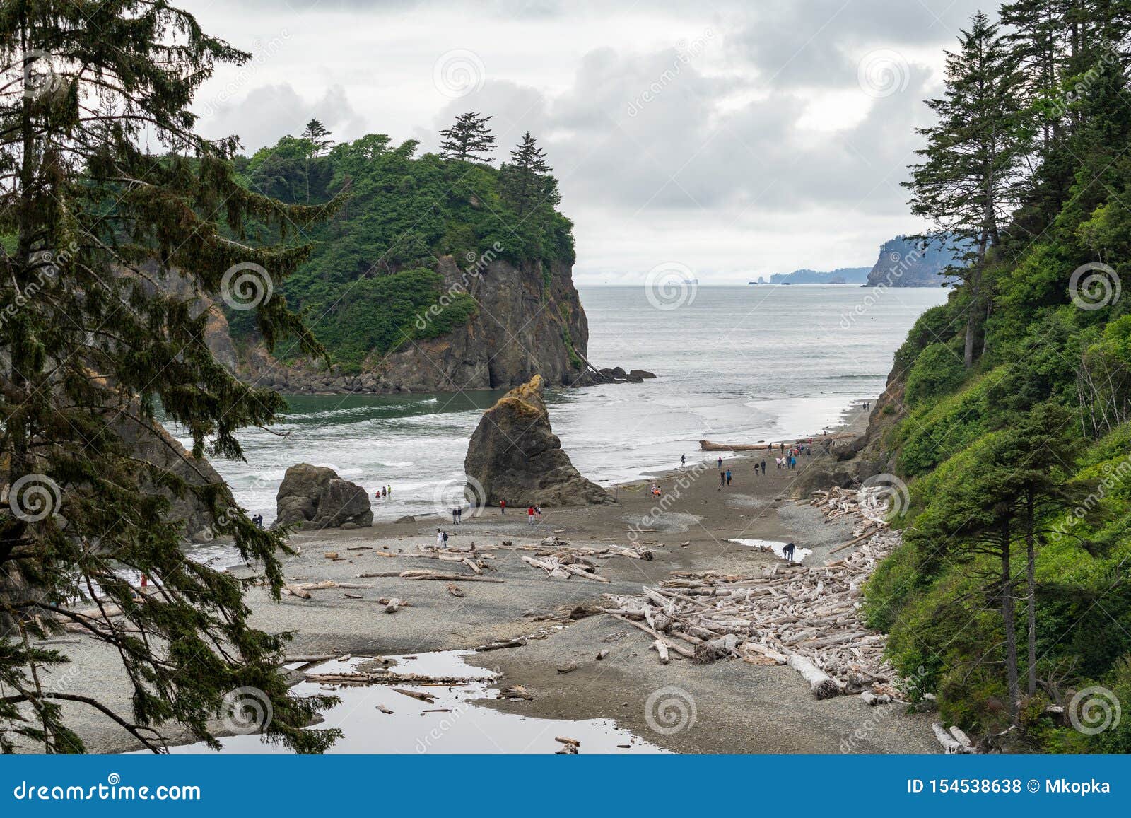 Overcast Day at Ruby Beach in Olympic National Park in Washington State ...