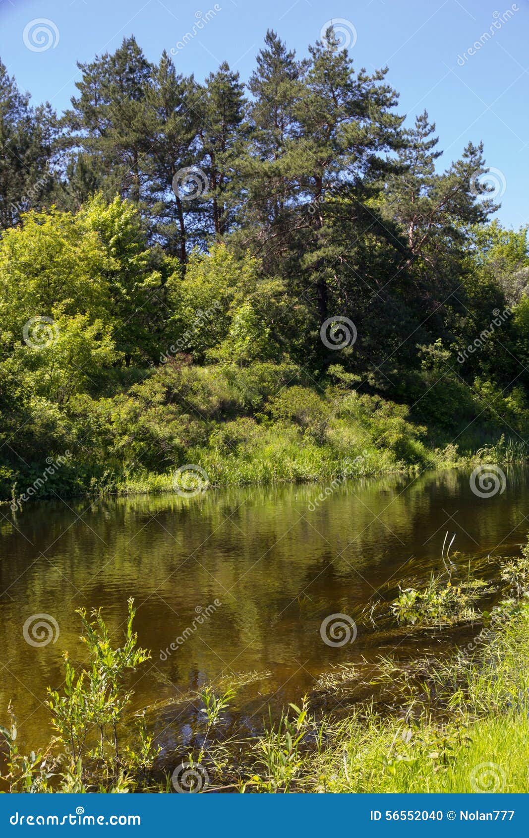 Overcast day in summer stock photo. Image of reflection - 56552040