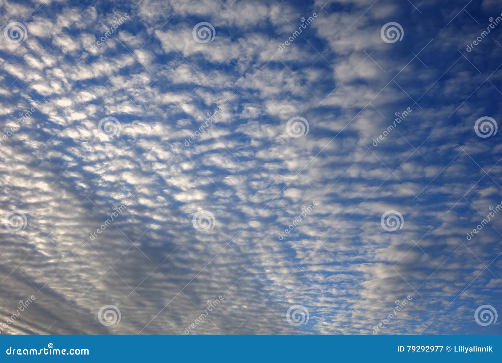 Overcast daylight sky. stock image. Image of clouds, nature - 79292977