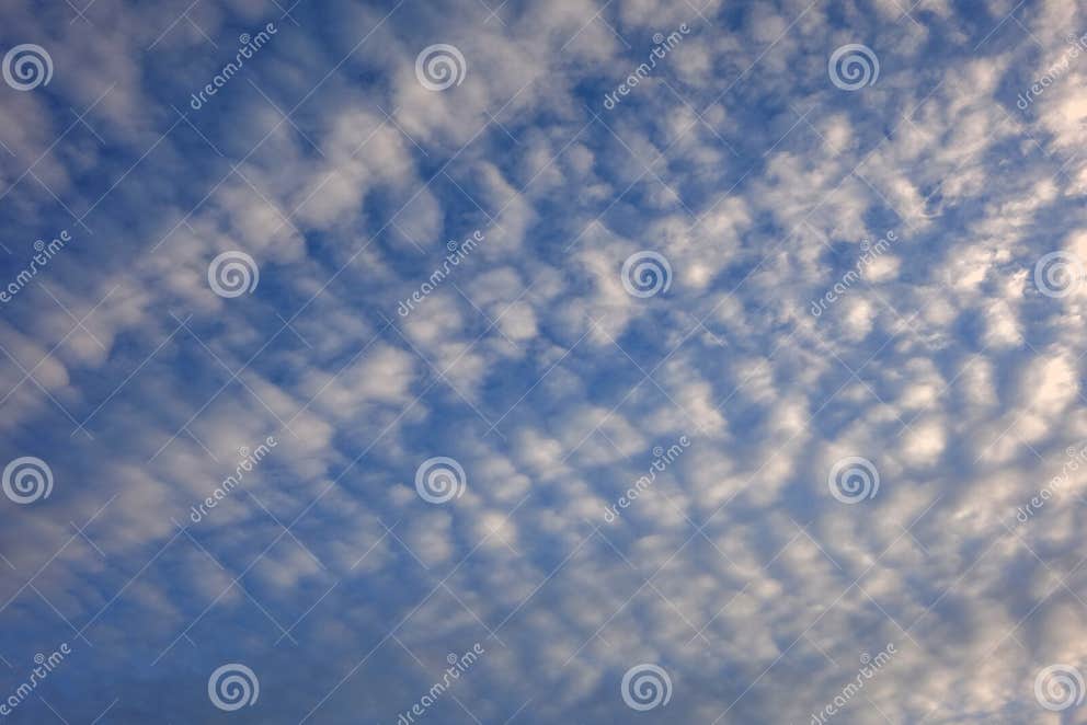 Overcast daylight sky. stock image. Image of nature, clouds - 79293467