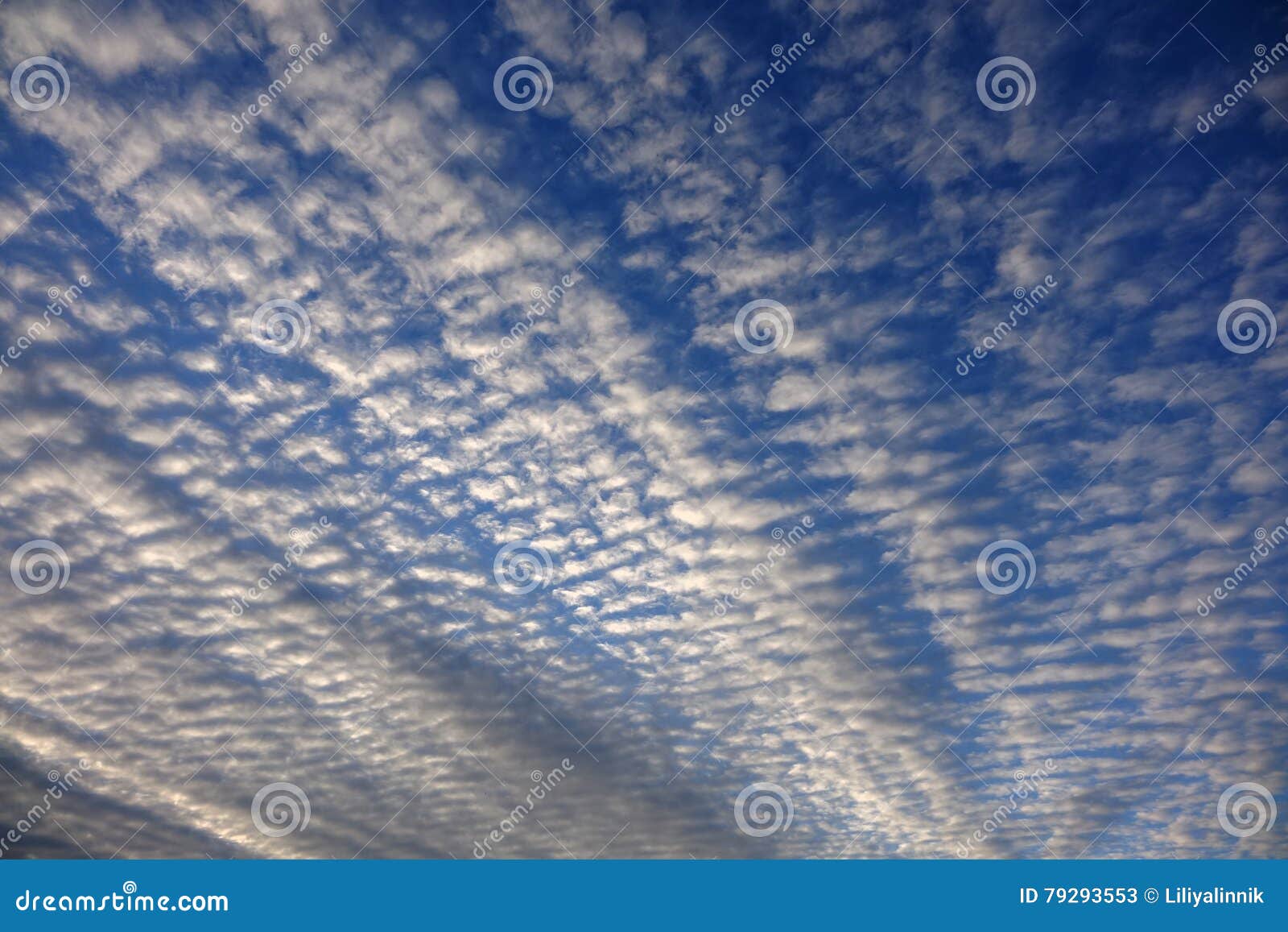 Overcast daylight sky. stock image. Image of color, cloudiness - 79293553