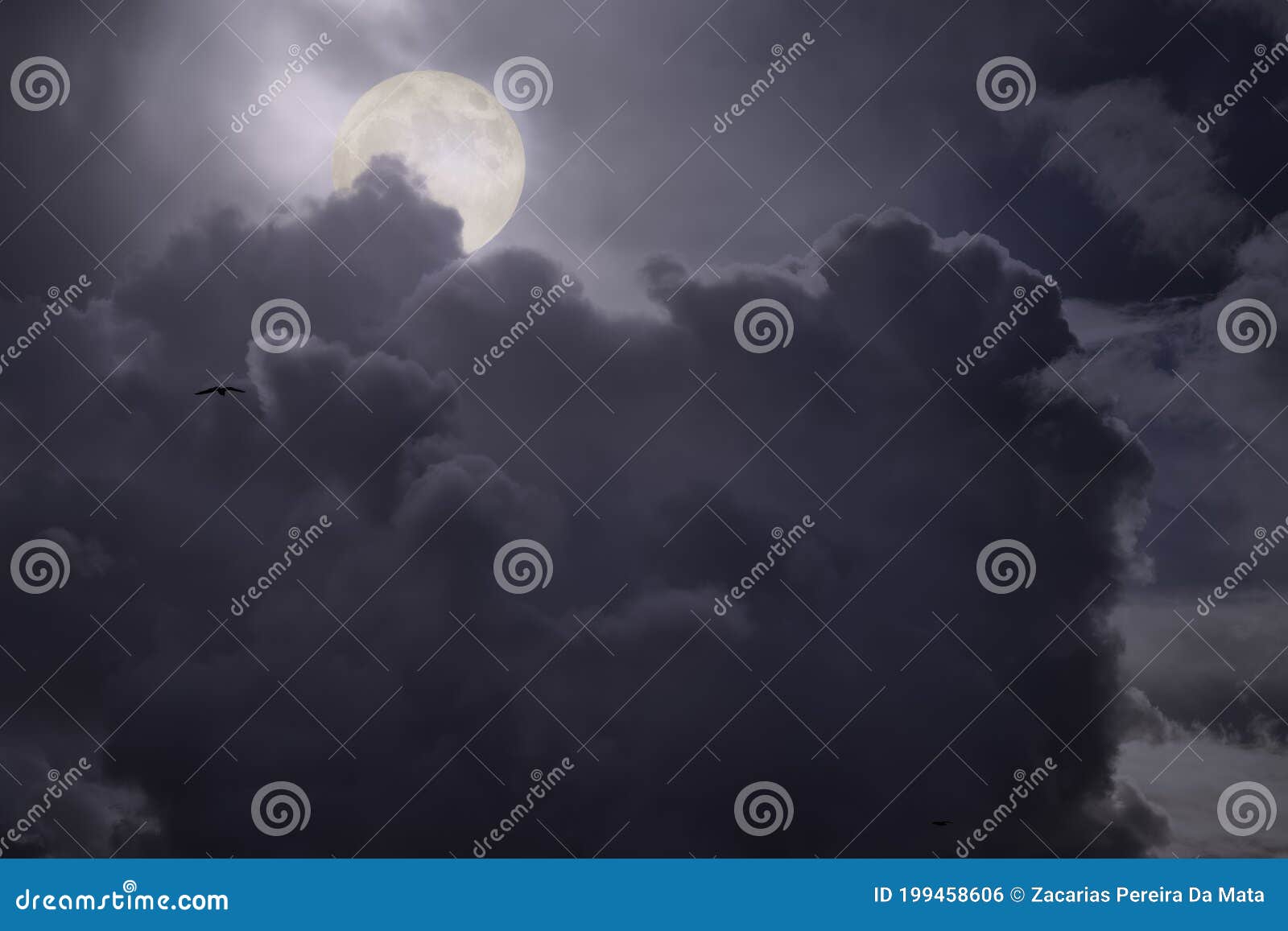Overcast full moon night stock photo. Image of dusk - 199458606