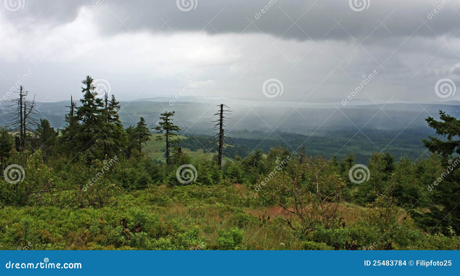Overcast landscape stock photo. Image of overcast, fall - 25483784