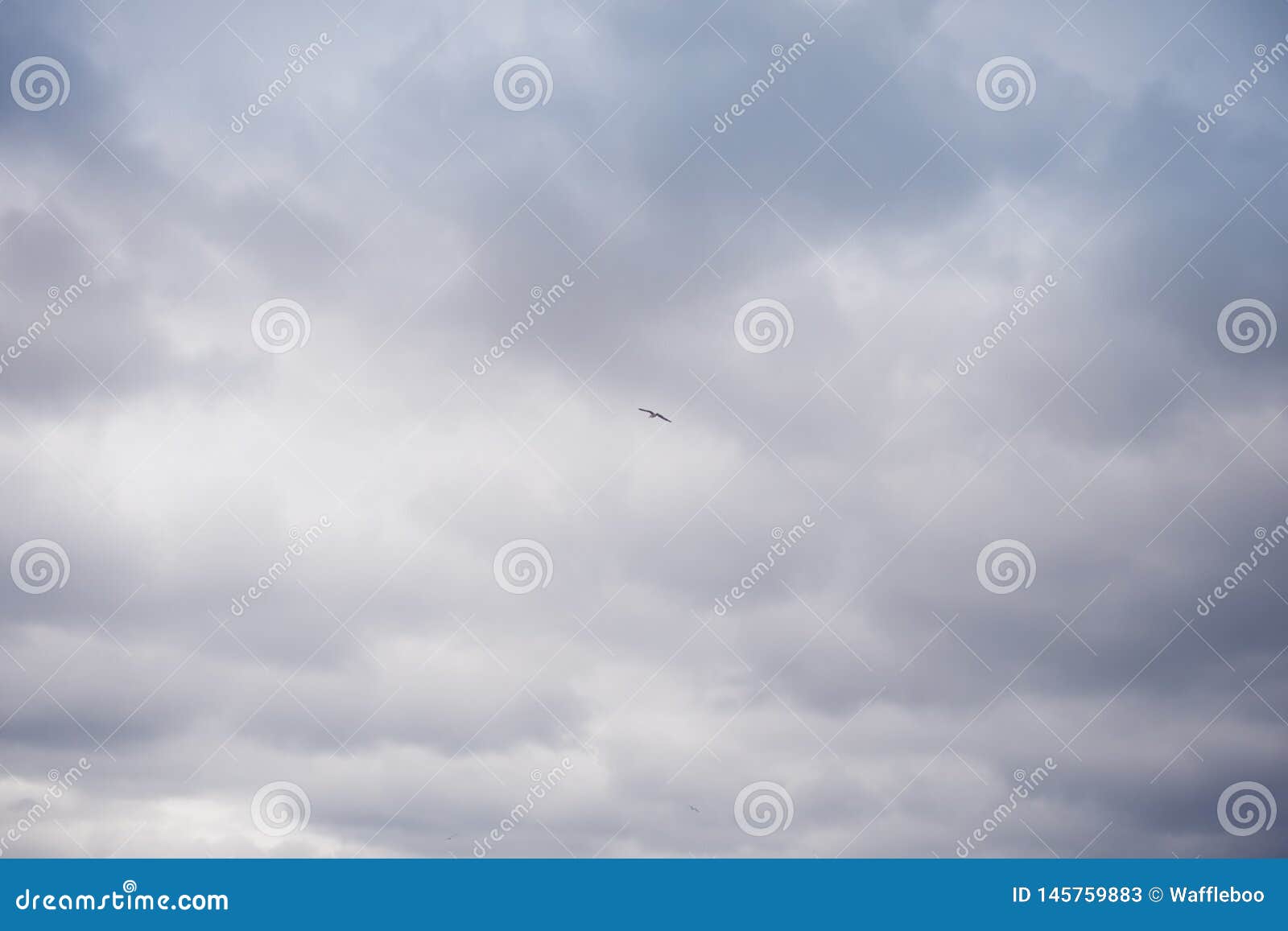 Stratus Clouds Background / Texture Stock Image - Image of atmosphere ...