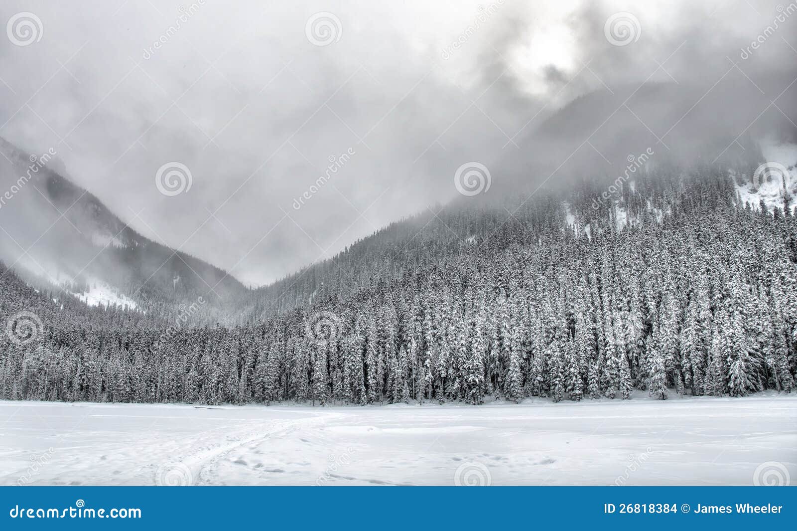 Overcast Snow Covered Mountain Trees Stock Photo - Image of simple ...