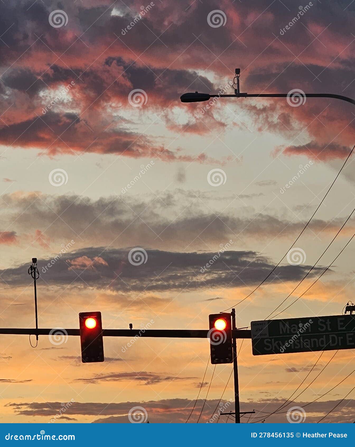Overcast Sunset silhouette stock image. Image of trees - 278456135