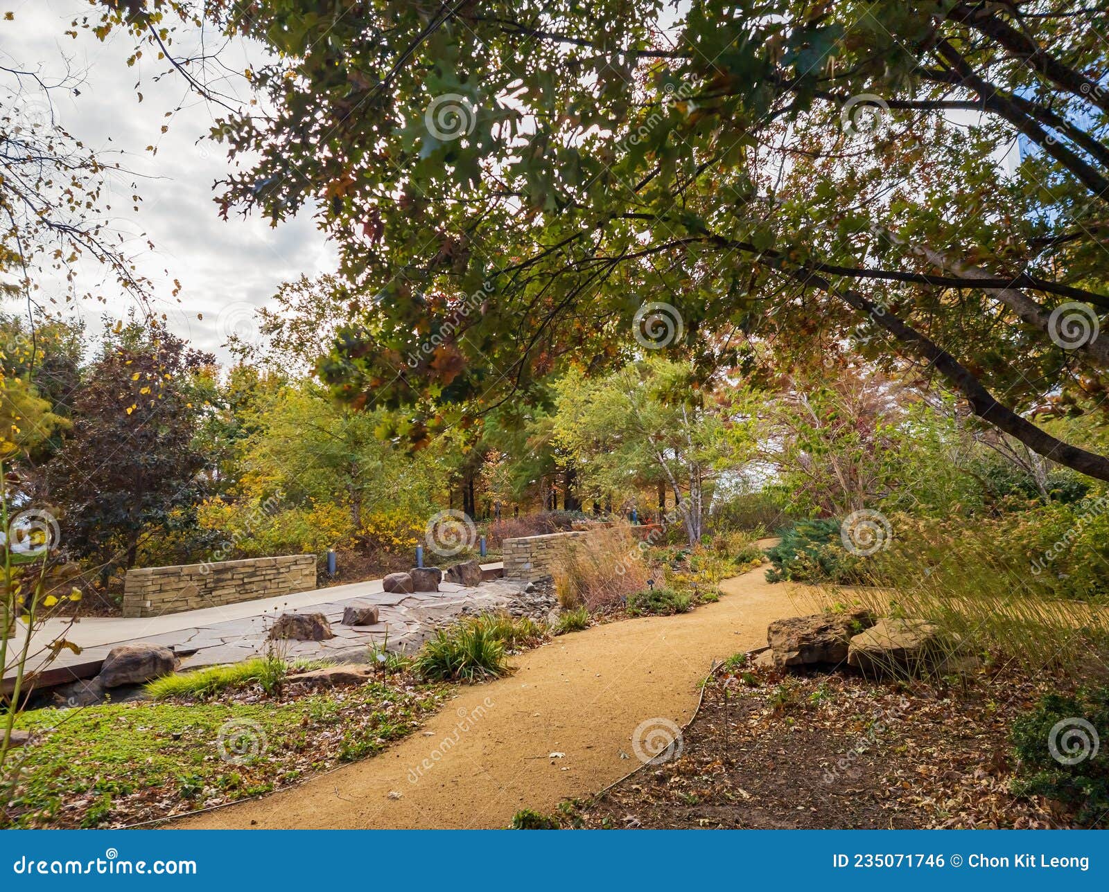 Overcast View of the Garden of Myriad Botanical Gardens Stock Photo ...