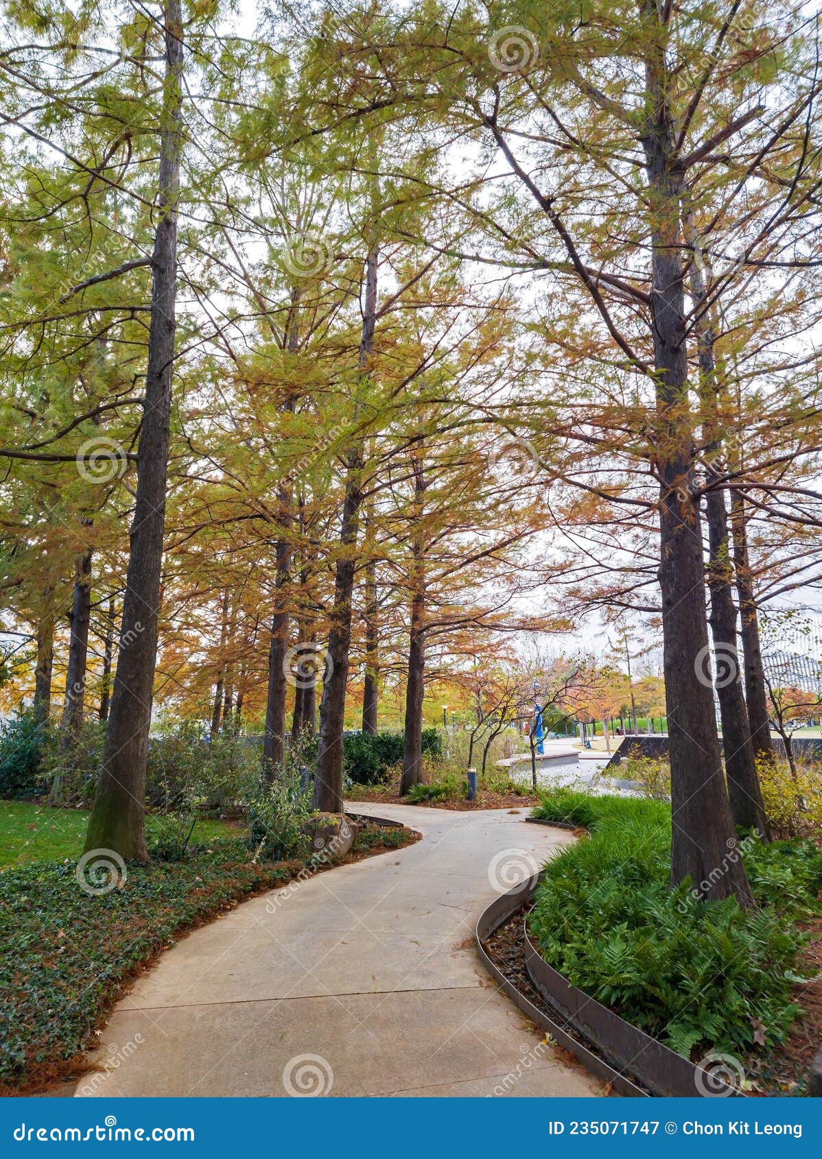 Overcast View of the Garden of Myriad Botanical Gardens Stock Image ...