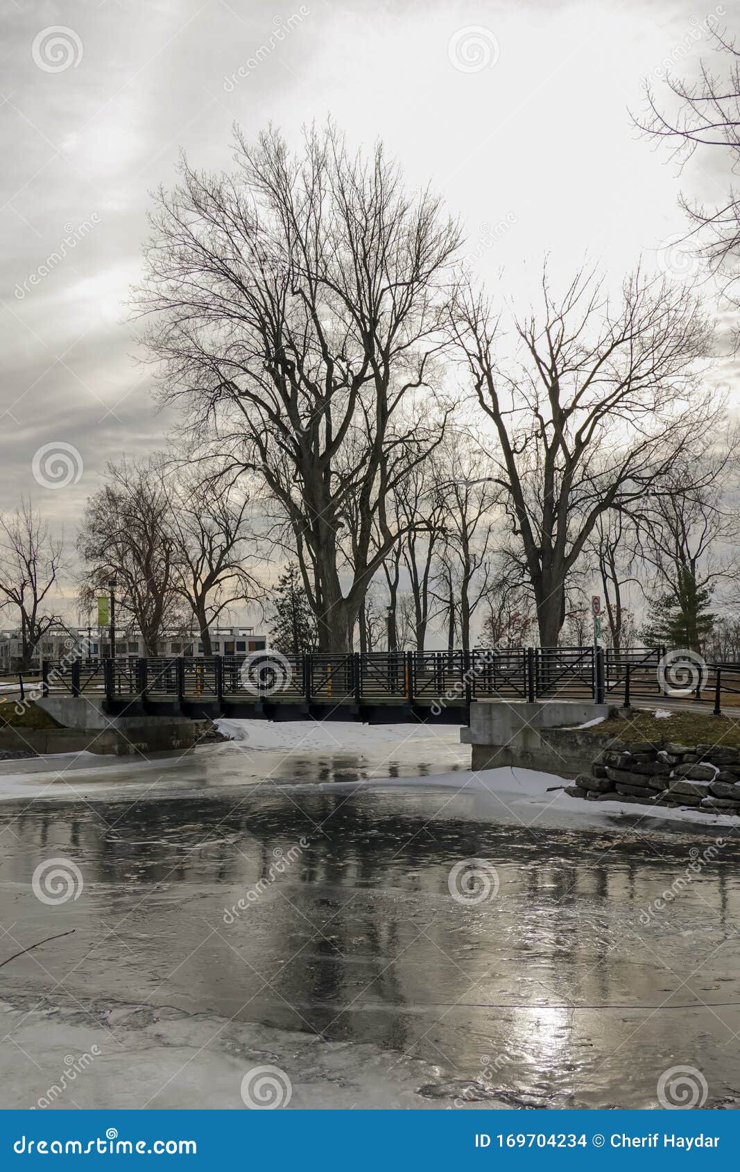 Overexposed Sun Behind Deciduous Trees In Winter Reflecting Into The ...