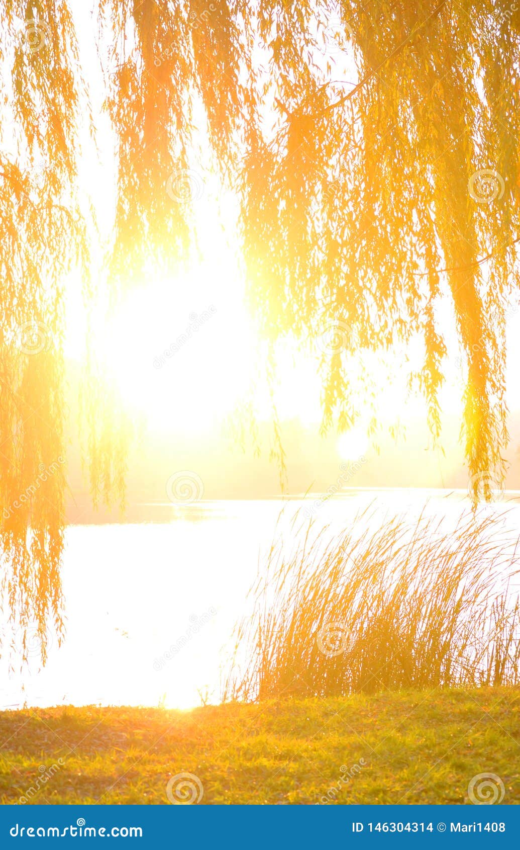 Overexposed Sun on the Shore of the River in Autumn Stock Photo - Image ...