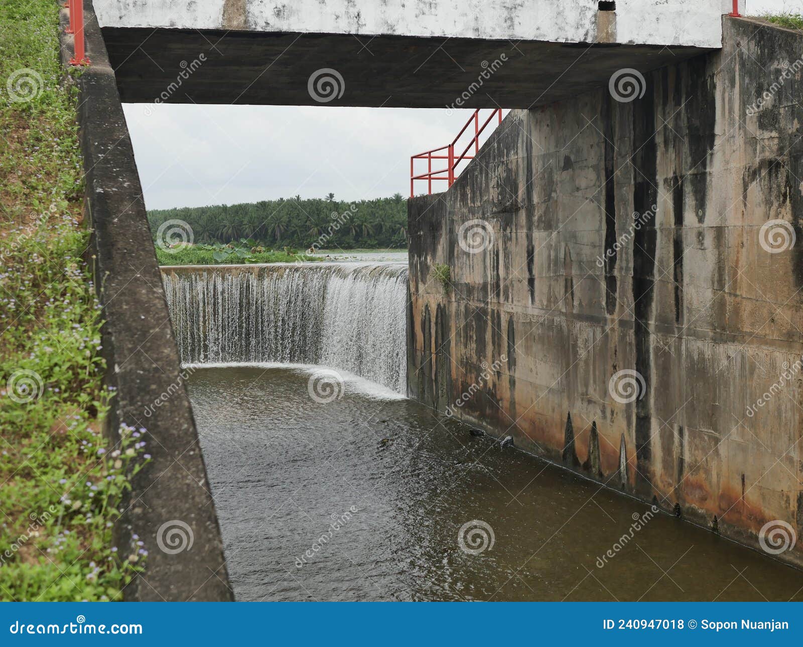 Overflow Irrigation Drain the Water into the Drainage Canal. Stock ...