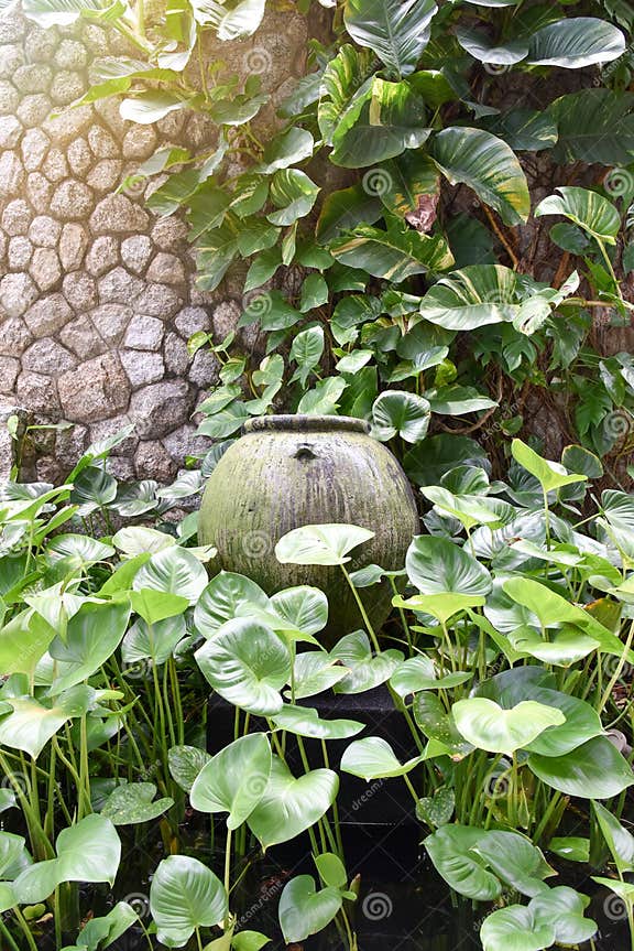 Overflow pot decoration stock photo. Image of close, landscape - 91505212