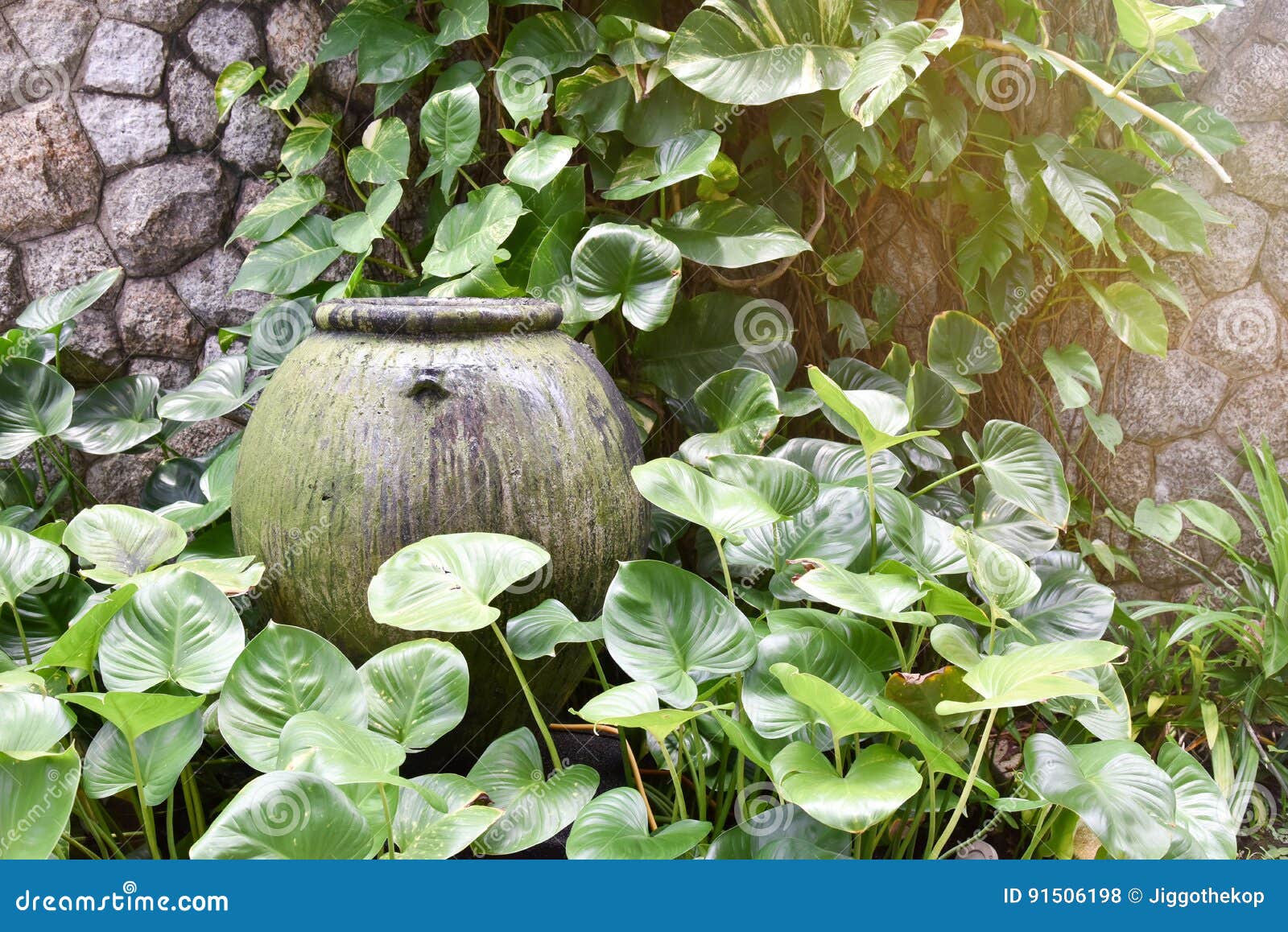 Overflow pot decoration stock photo. Image of floral - 91506198