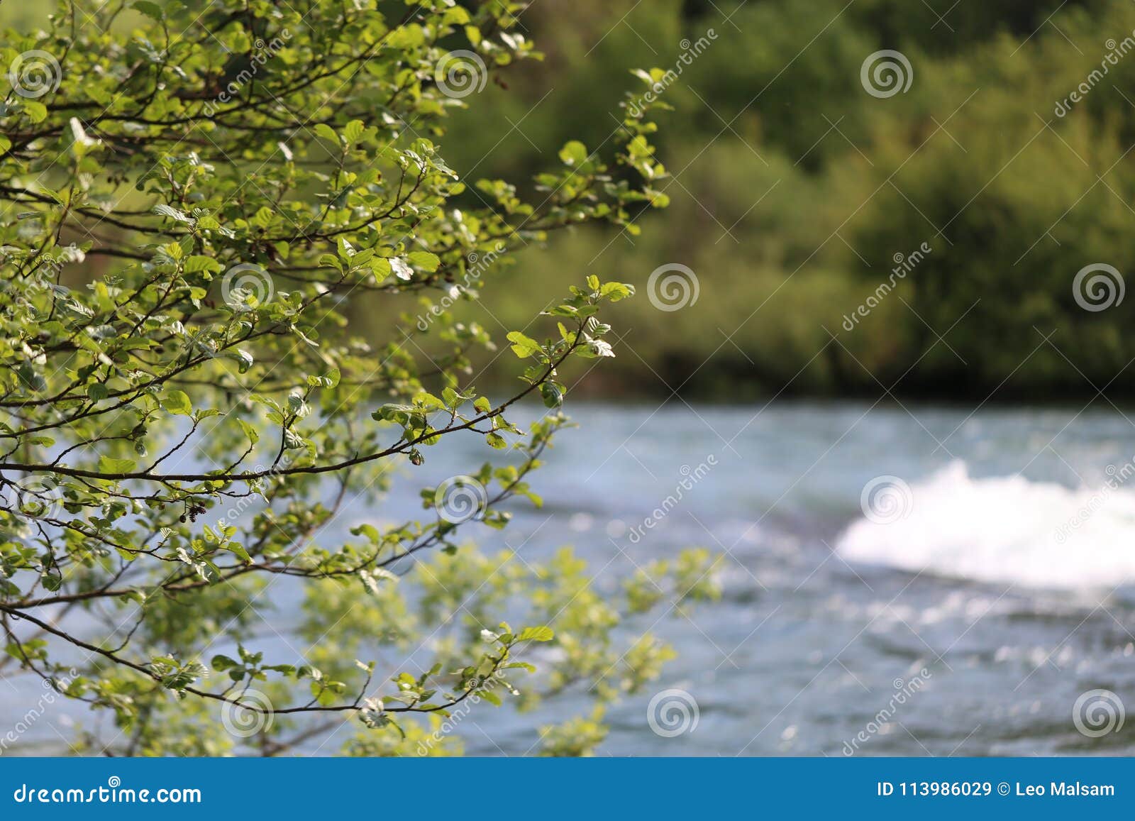Overflow on the river stock image. Image of storm, flood - 113986029