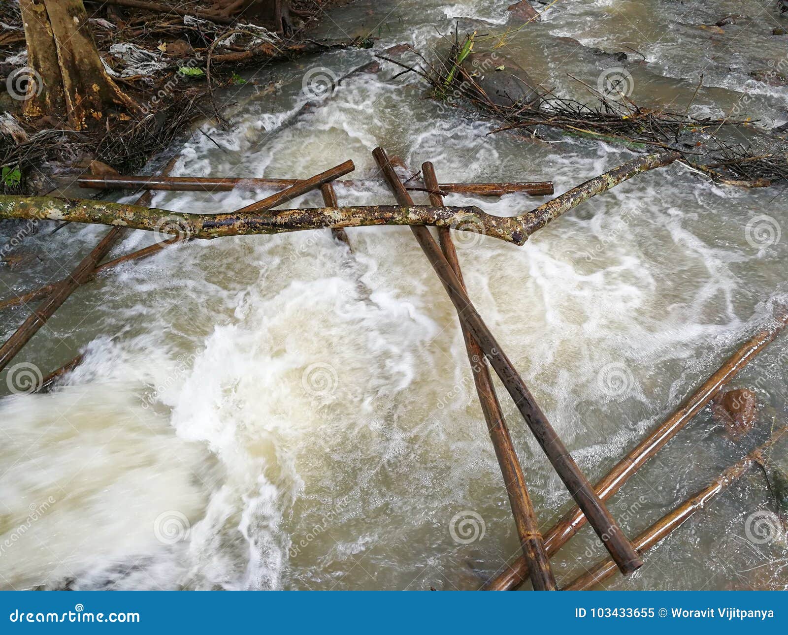 Overflow water stock image. Image of nature, plant, overflow - 103433655