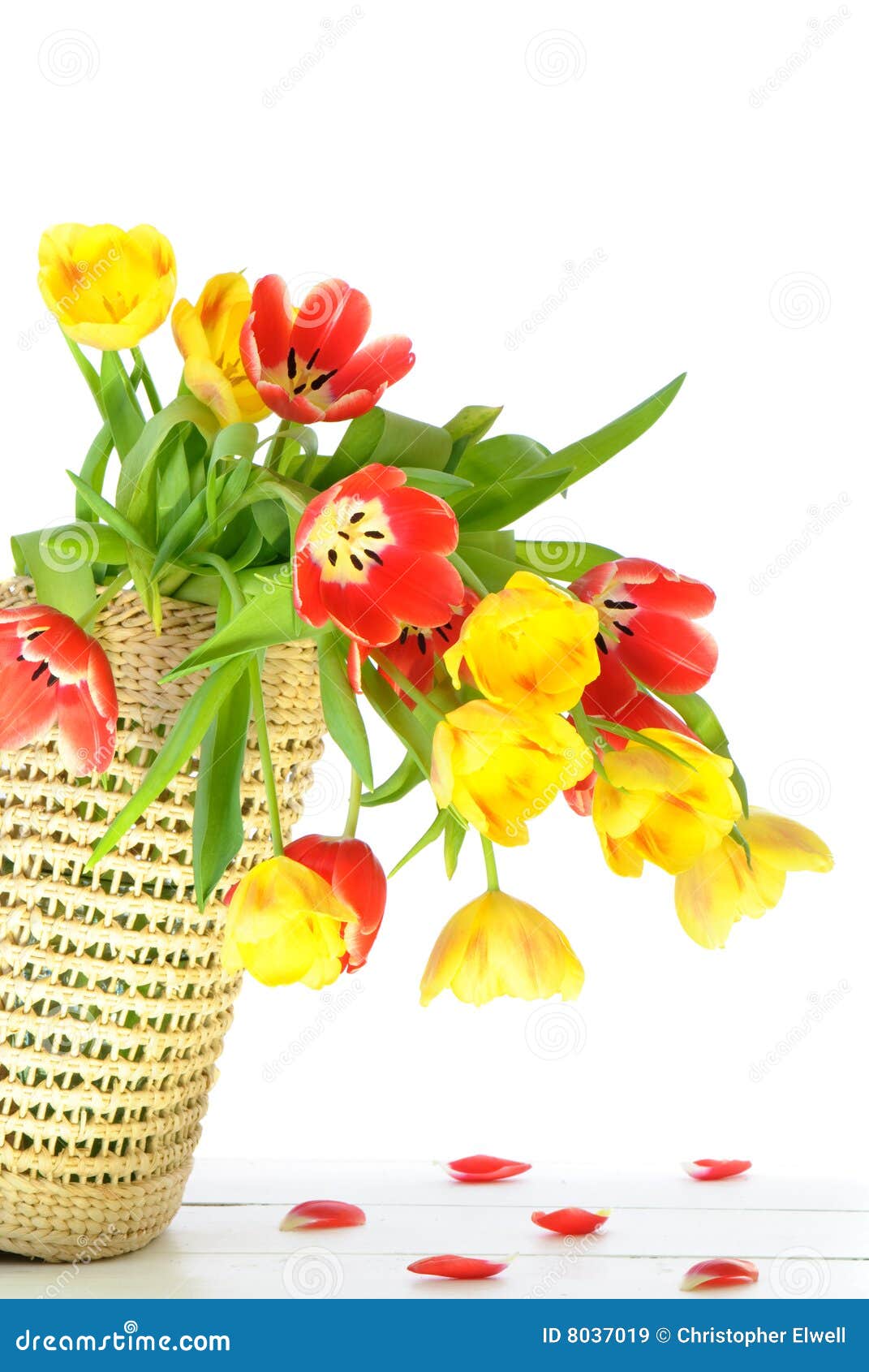 Overflowing Basket of Flowers Stock Image - Image of cheerful, spring ...