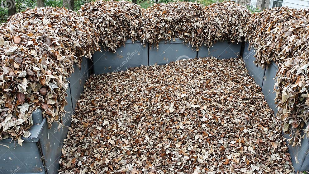 Overflowing Compost Bin Filled with Dense Dry Leaves Stock Illustration ...
