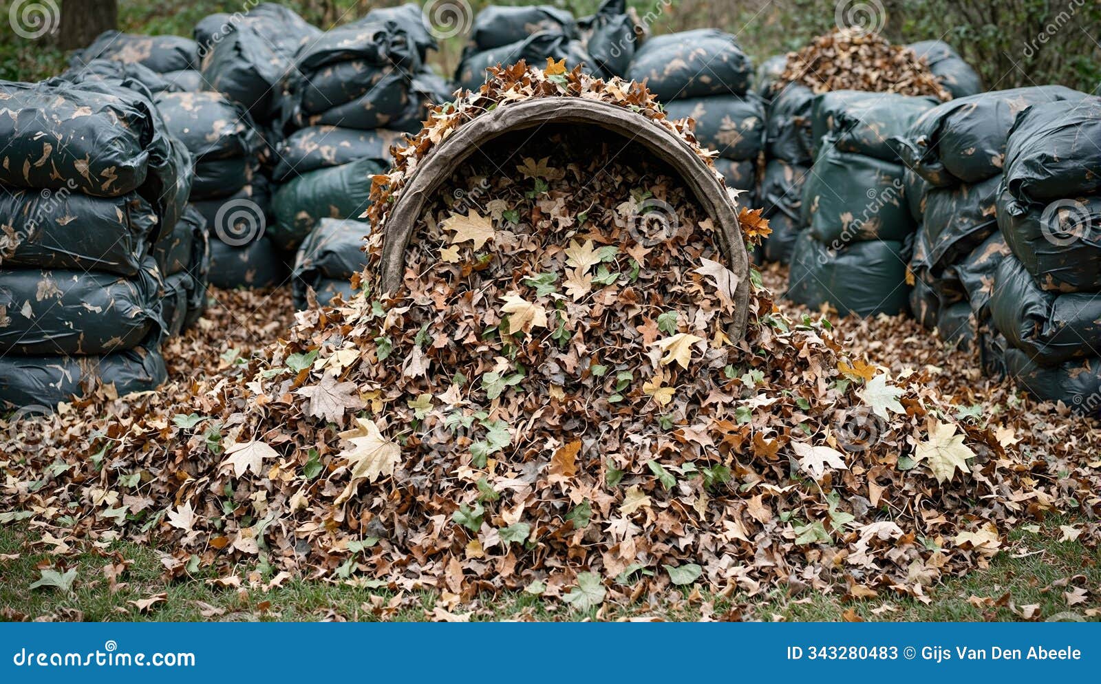 Overflowing Compost Bin Filled With Dense Dry Leaves Stock Image ...