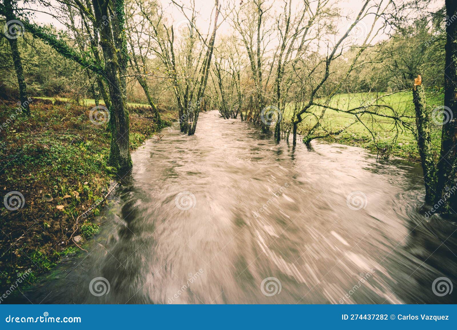 Overflowing river stock photo. Image of stream, smooth - 274437282
