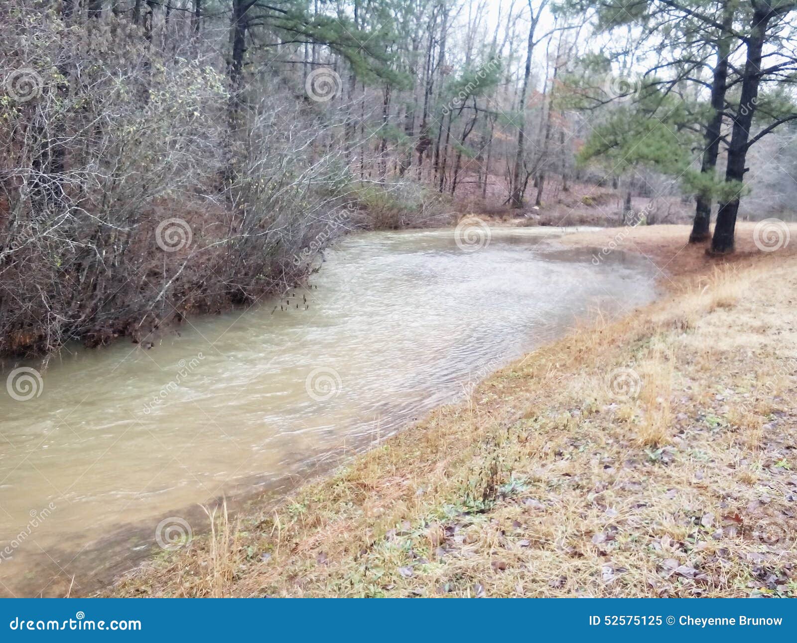 Overflowing stream stock image. Image of stream, week - 52575125